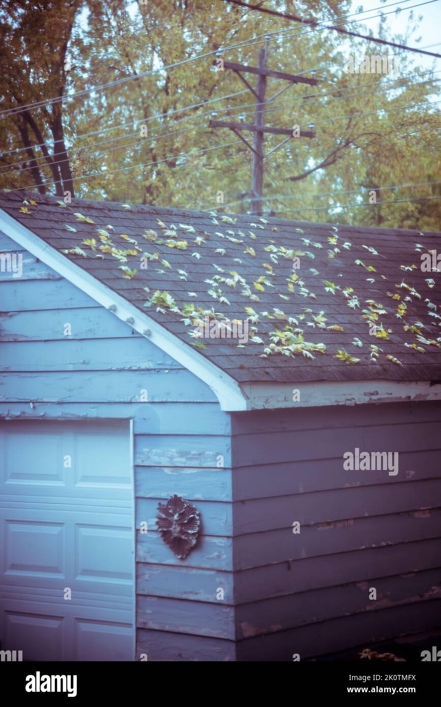 Back garden in rain, Columbus, Ohio, USA Stock Photo - Alamy