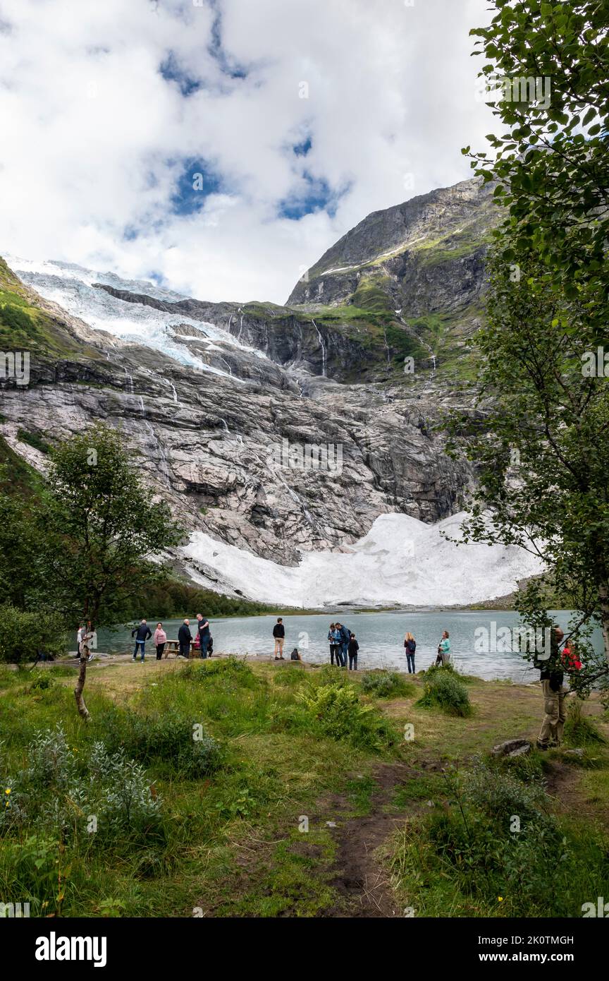 Topiary sheets hi-res stock photography and images - Alamy