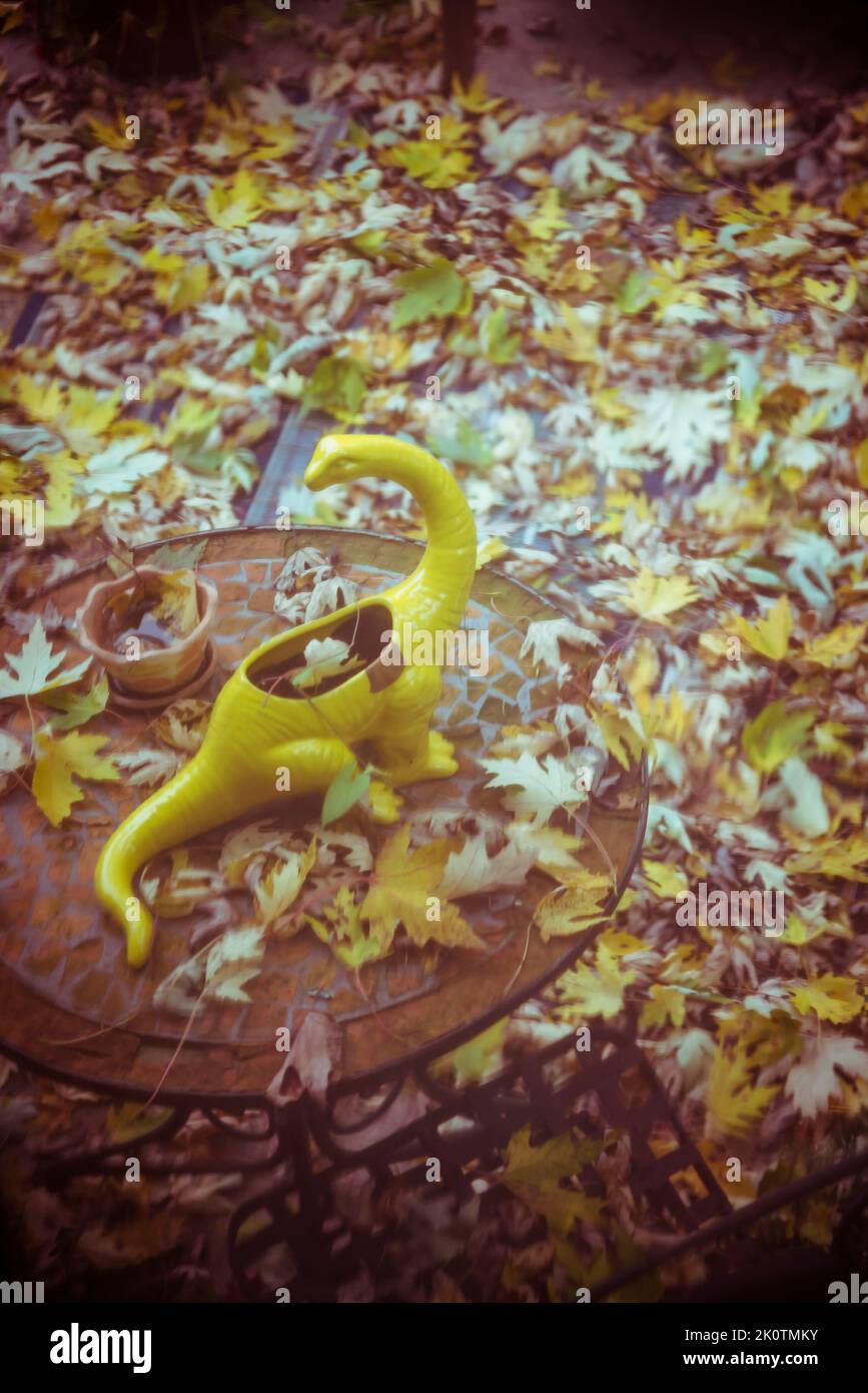 Back garden in rain, Columbus, Ohio, USA Stock Photo - Alamy