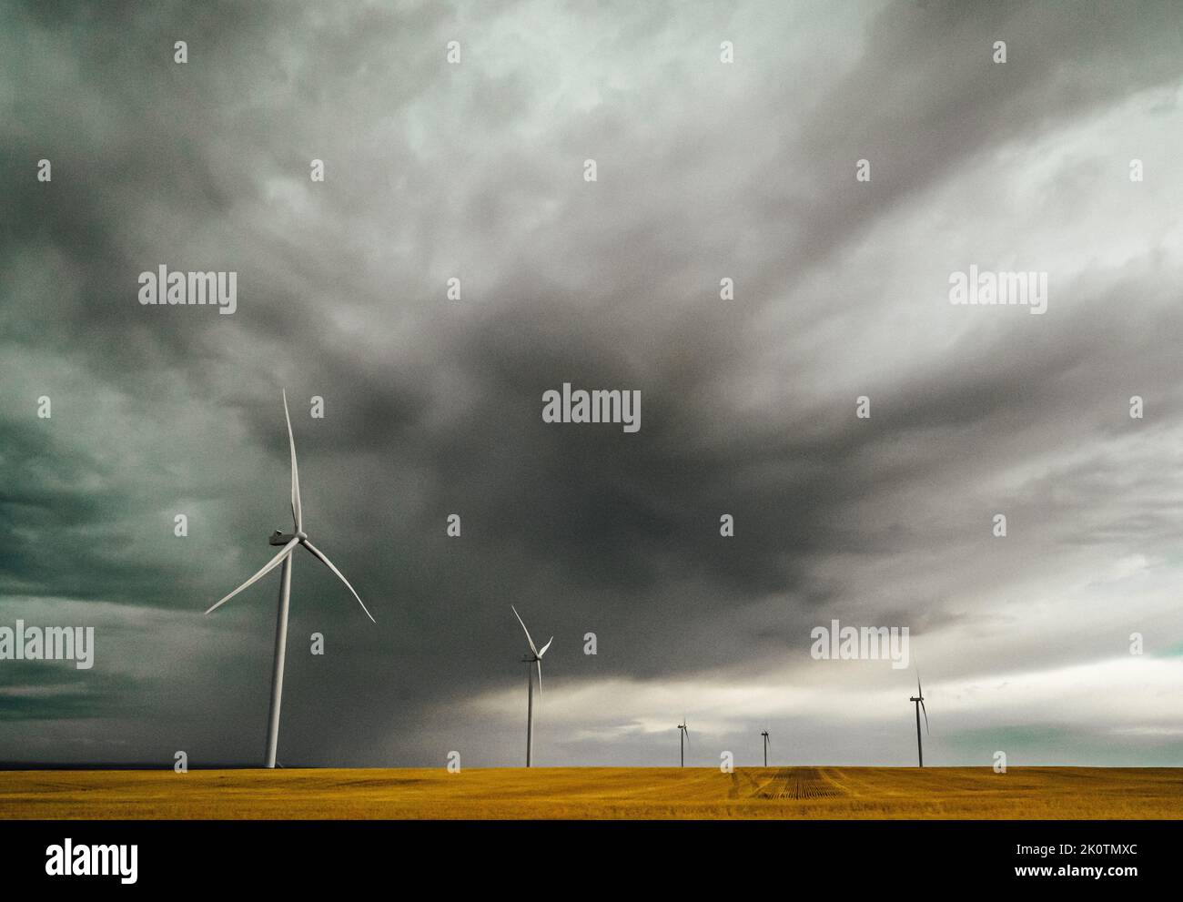 A collection of white wind mills placed in an open field Stock Photo ...