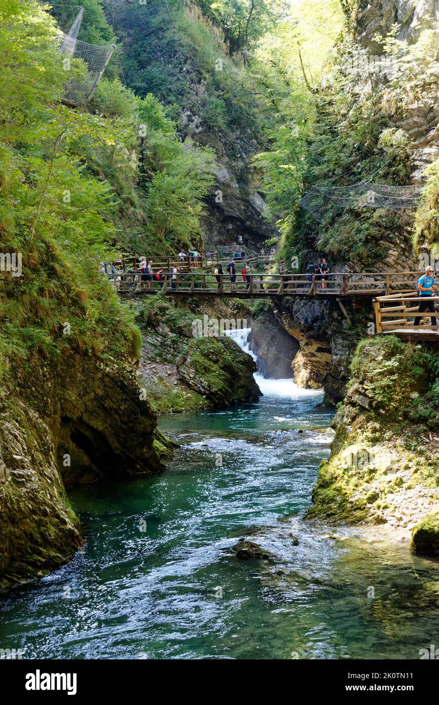 Vintgar gorge at Vintgar nature park in Slovenia Stock Photo - Alamy