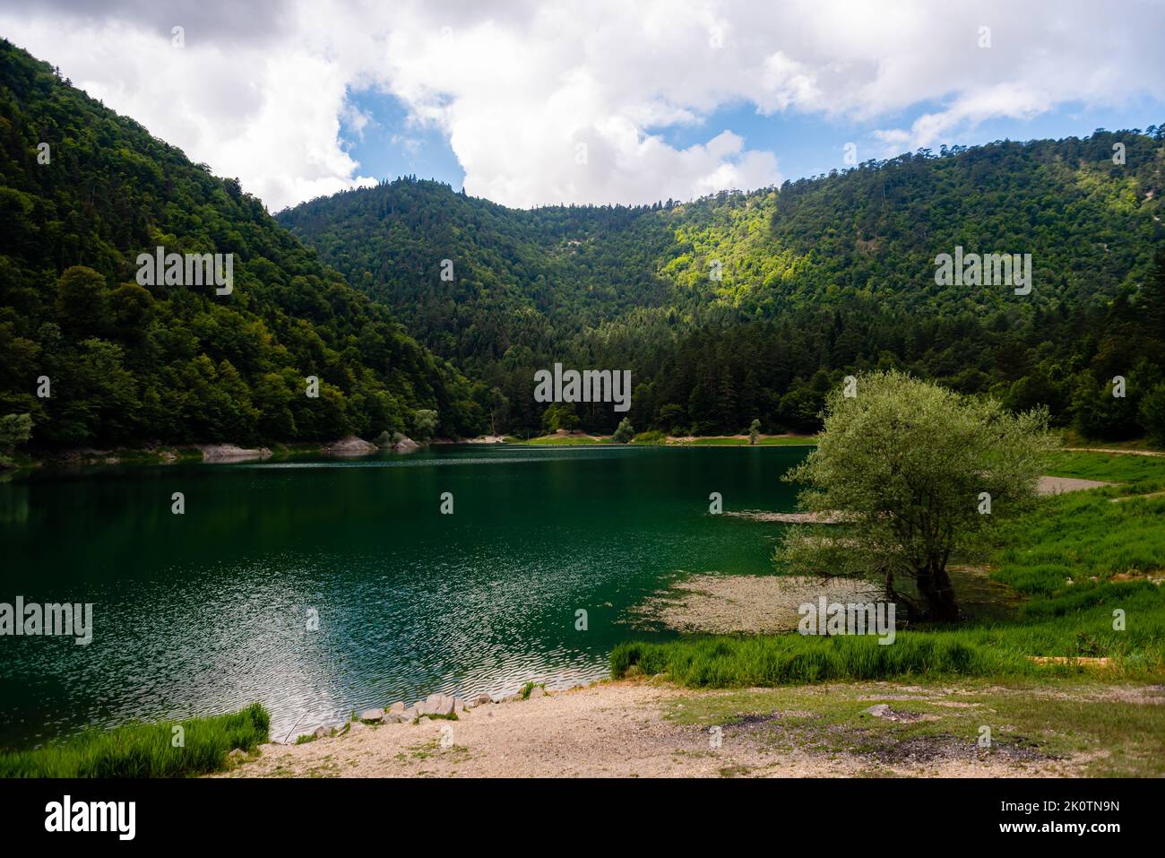 untouched lake formation in the forest , colorful forest landscapes ...