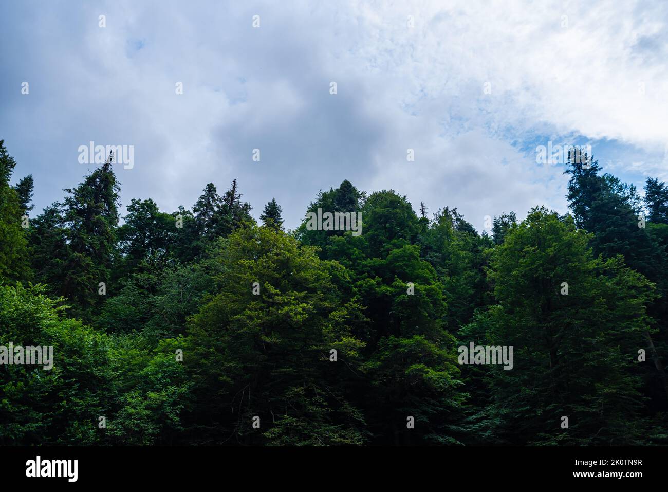 untouched lake formation in the forest , colorful forest landscapes ...