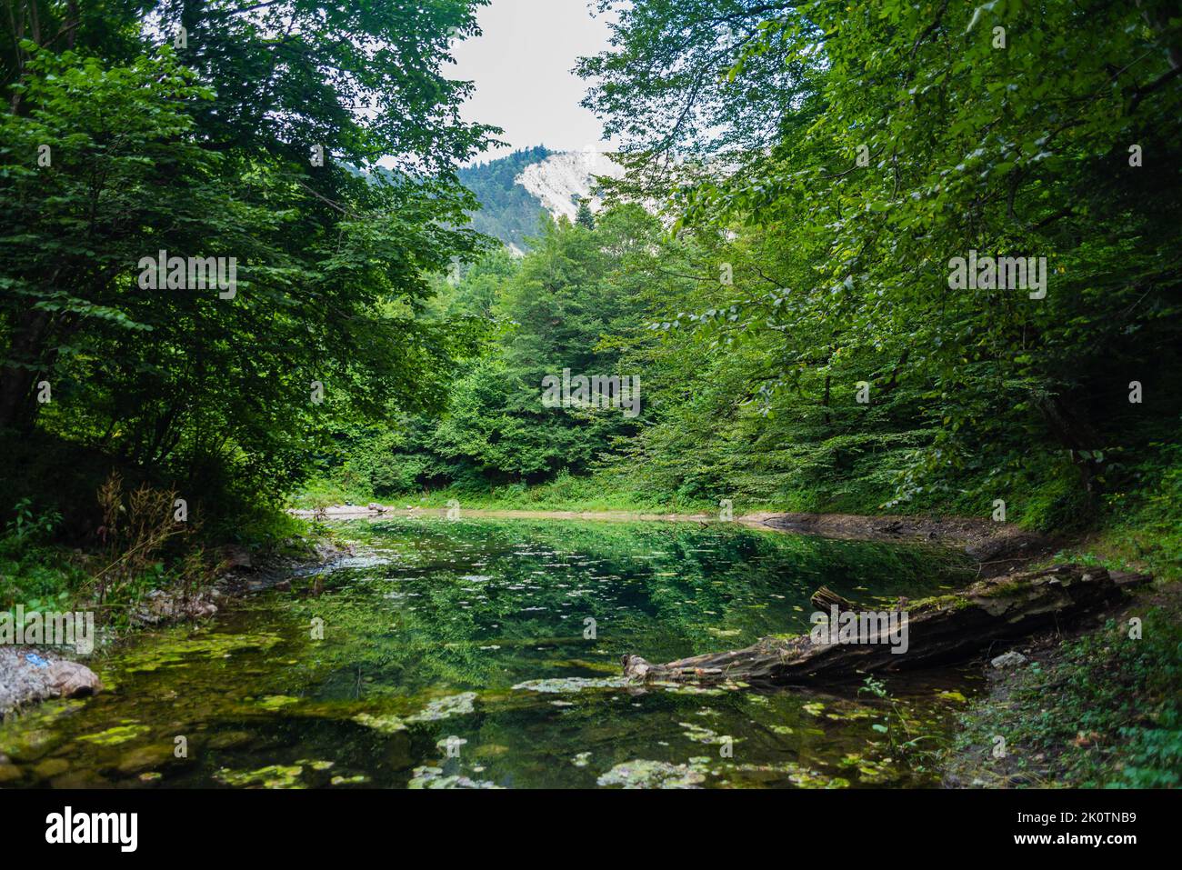 untouched lake formation in the forest , colorful forest landscapes ...