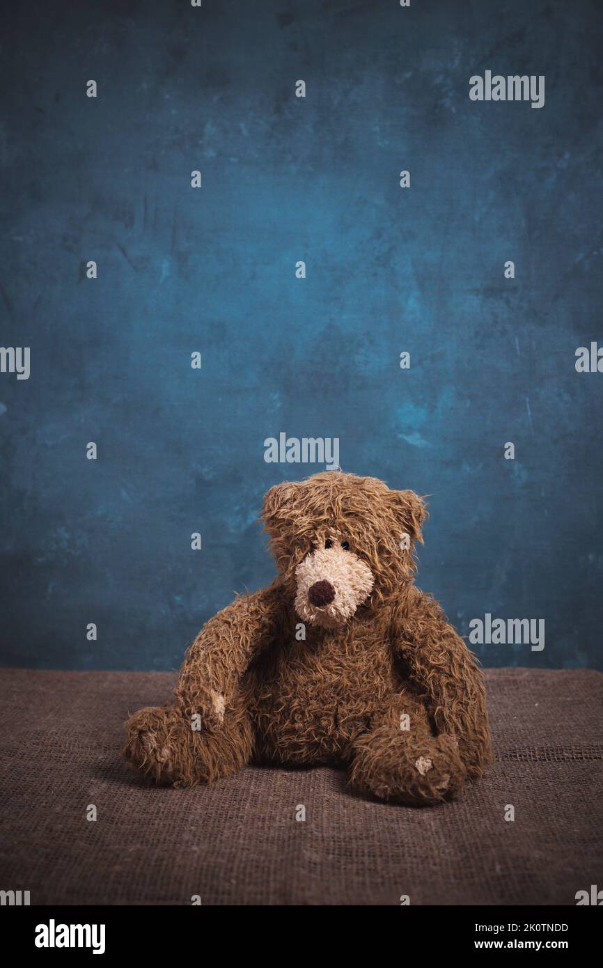 Teddy bear on a blue canvas background. Still life Stock Photo - Alamy