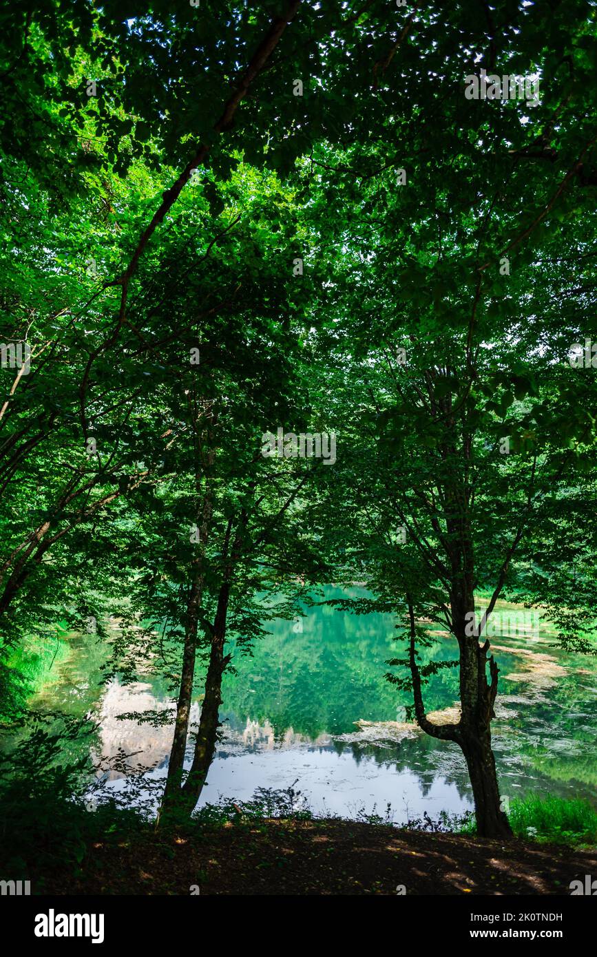 untouched lake formation in the forest , colorful forest landscapes ...