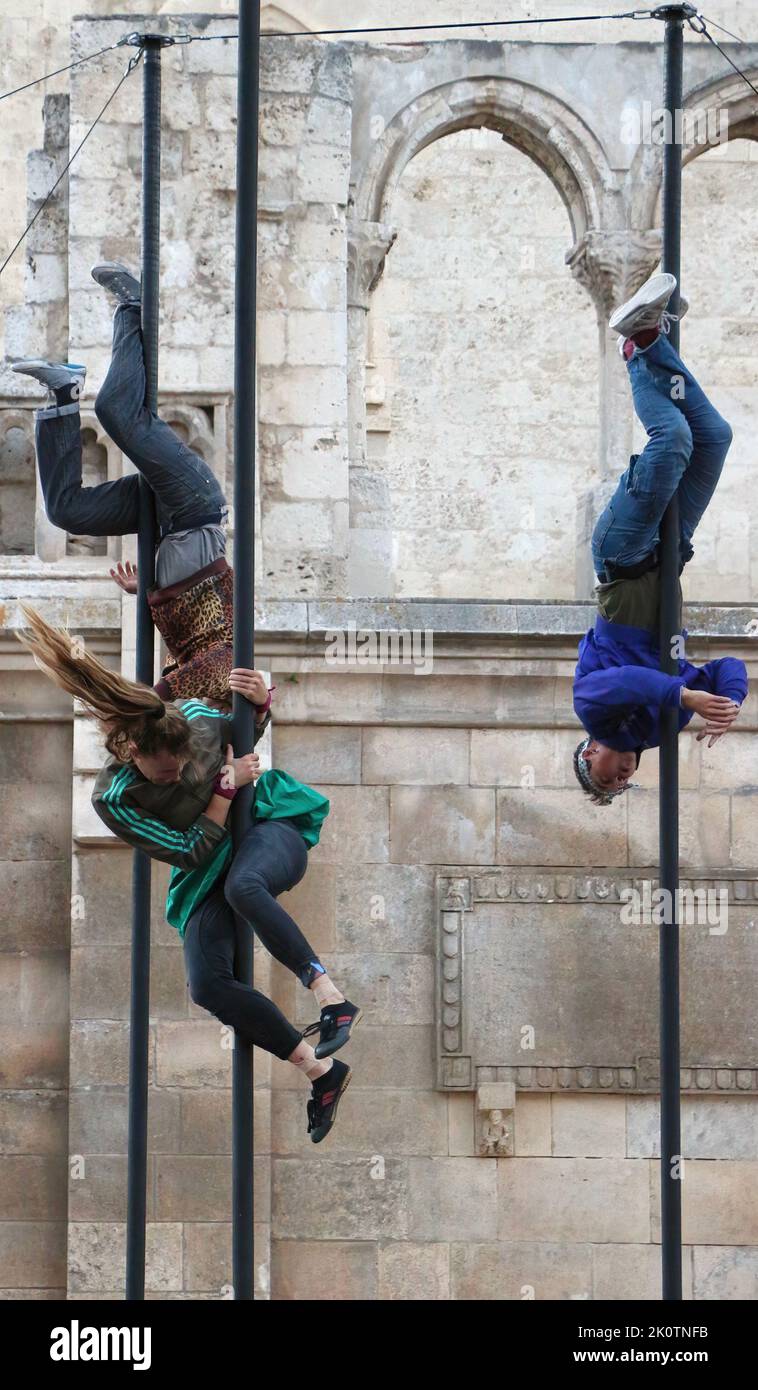 Free public event in the Plaza Rey San Fernando next to Burgos ...