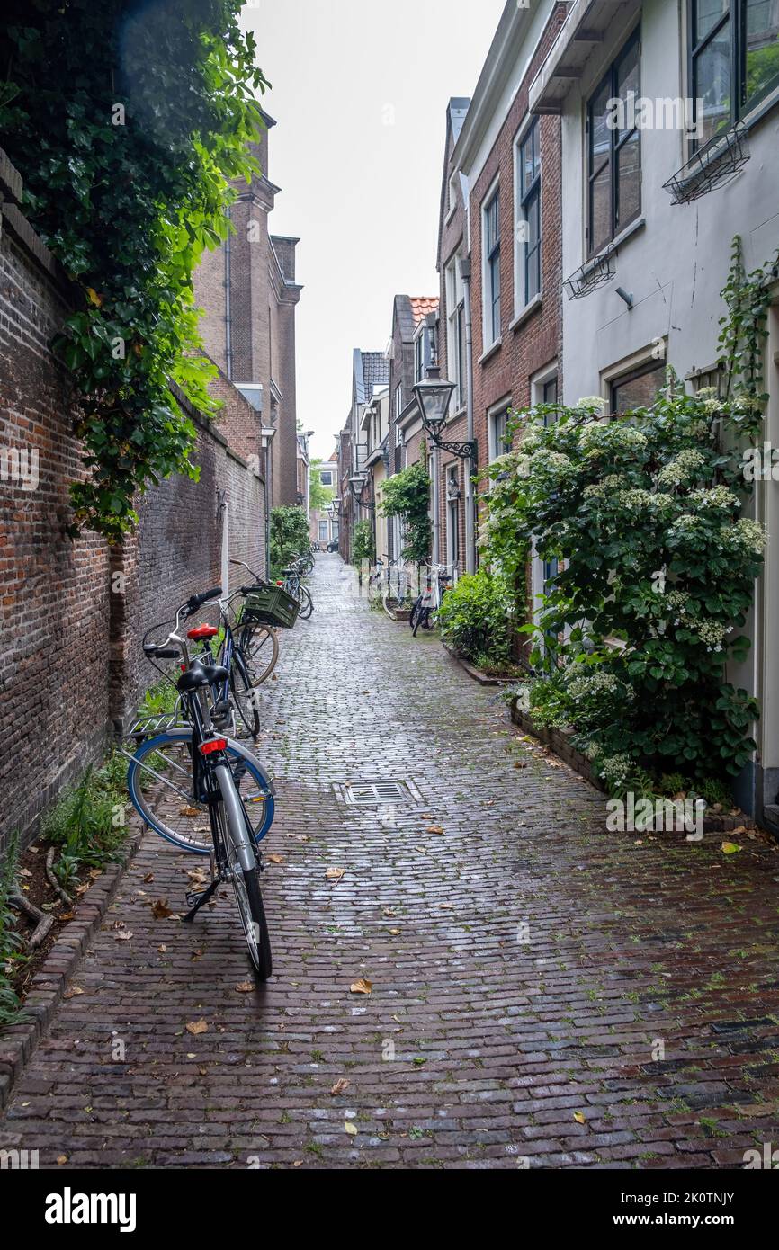 Leiden town, Netherlands. Traditional urban, red brick wall building ...