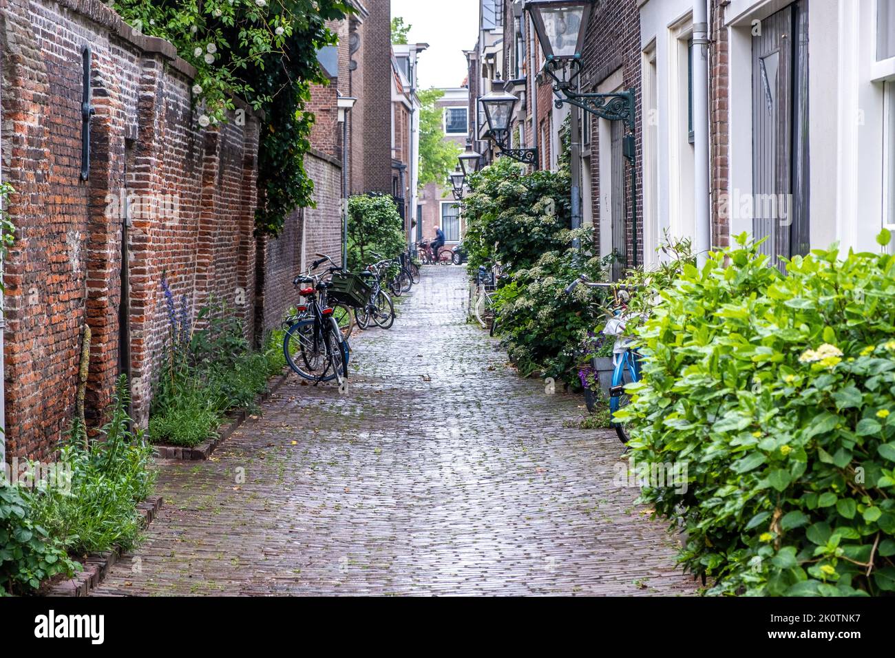 Traditional urban at Leiden, Netherlands. Red brickwall building with ...