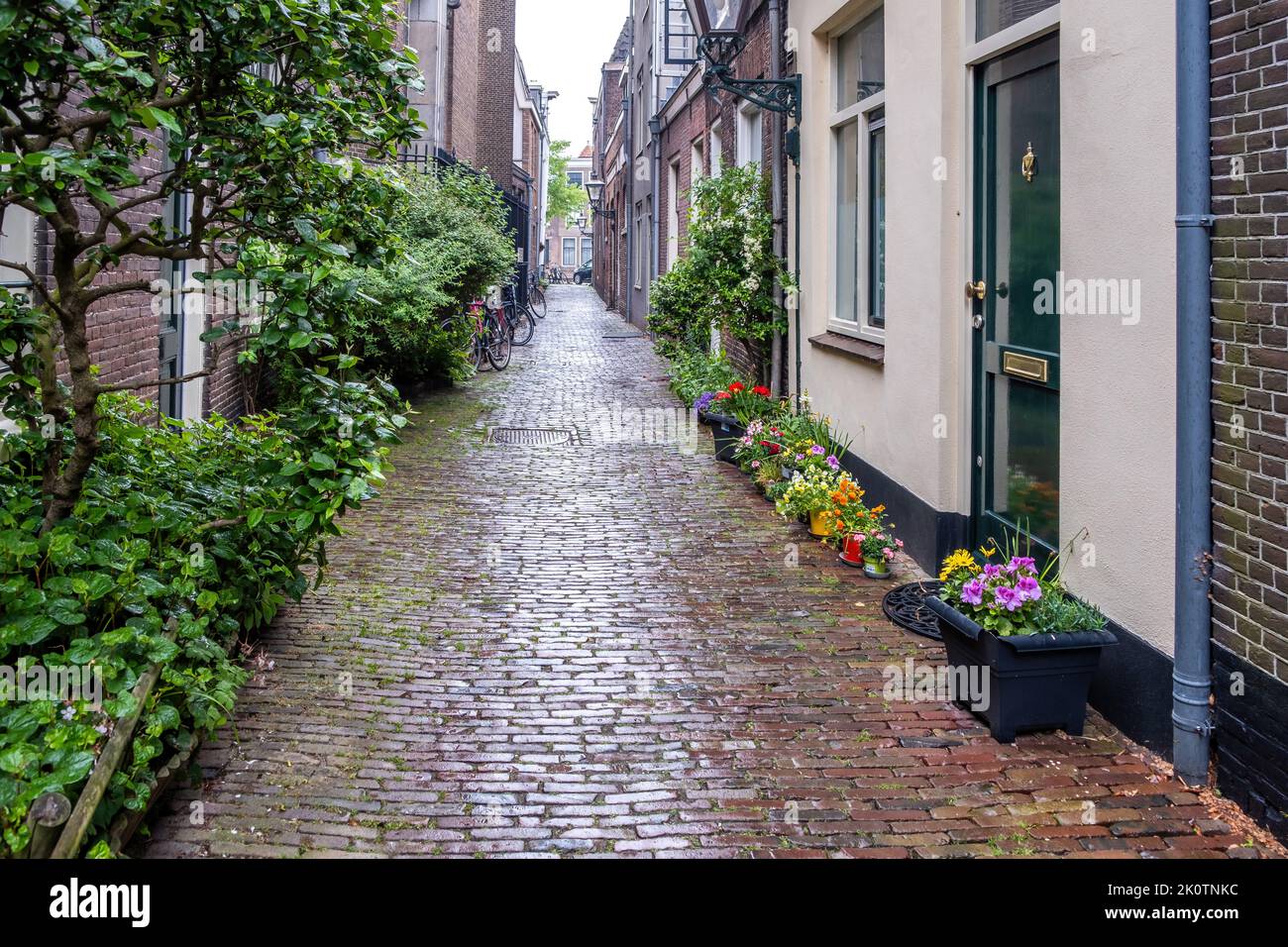 Leiden town, Netherlands. Traditional urban, red brick wall building ...