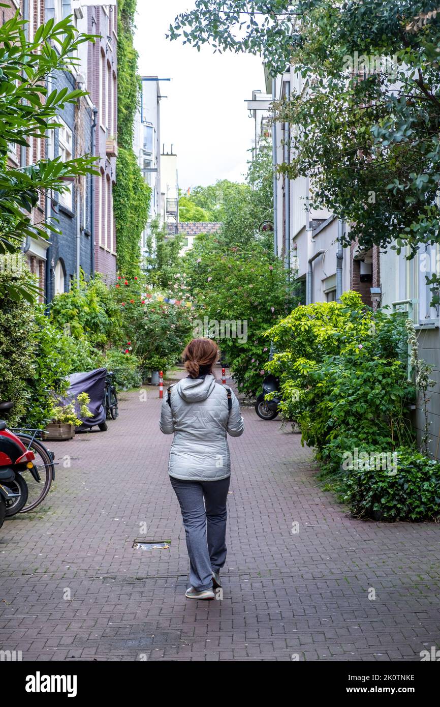 Netherlands, Leiden town. Lady walks between traditional red brickwall ...