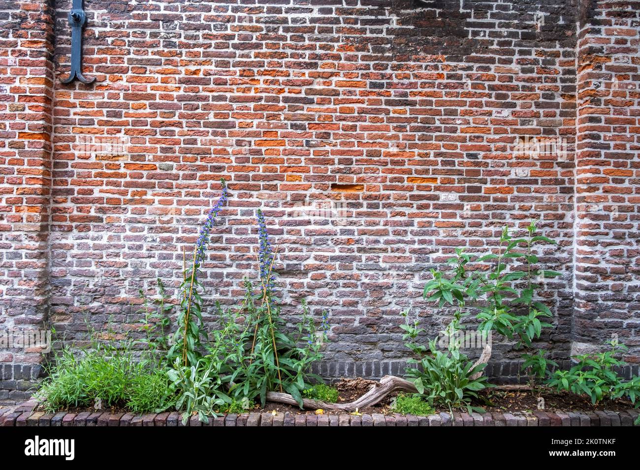 Brickwall background texture. Empty brickwork with row of bright and ...