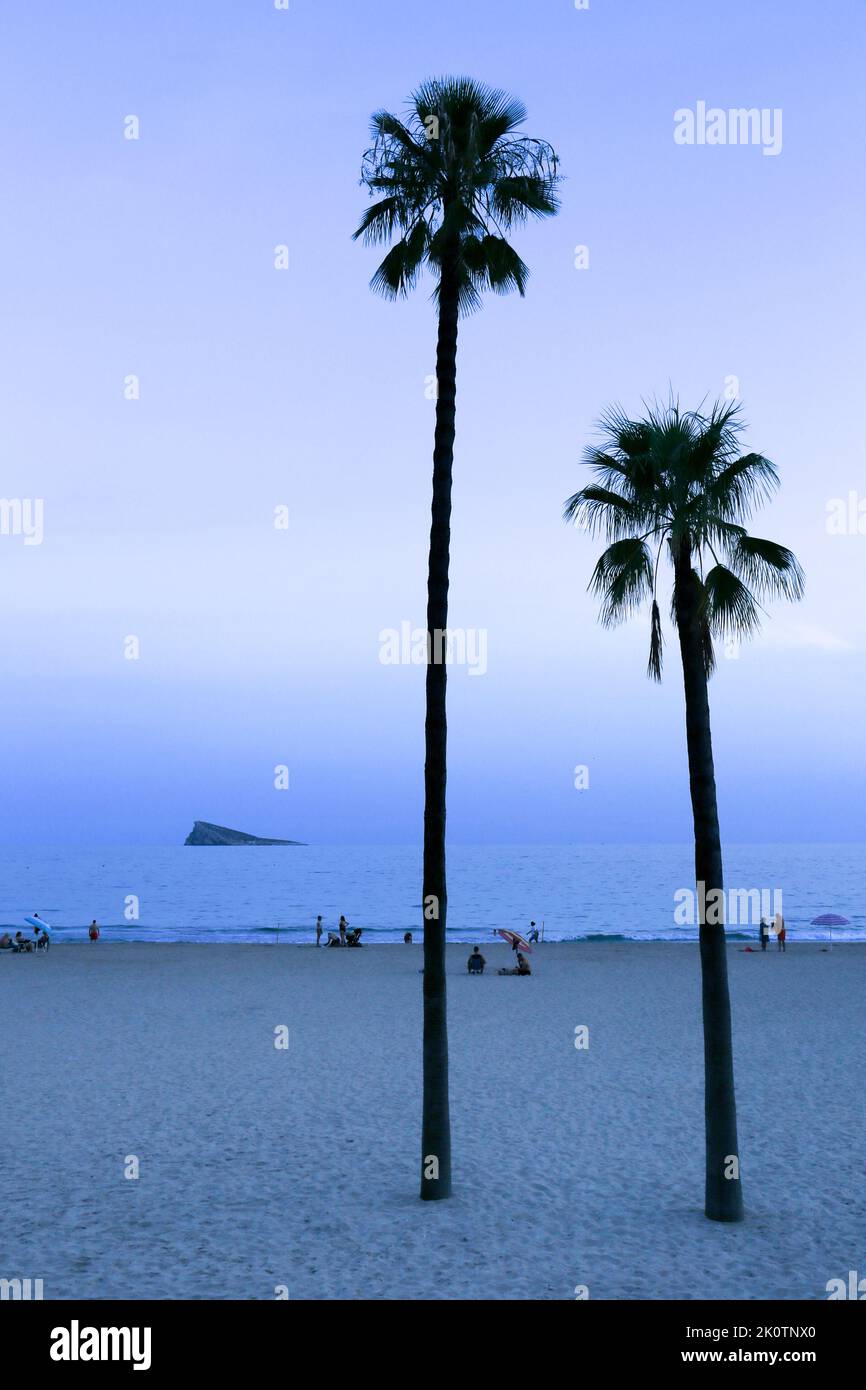 Benidorm, Alicante, Spain- September 11, 2022: Poniente beach with its ...