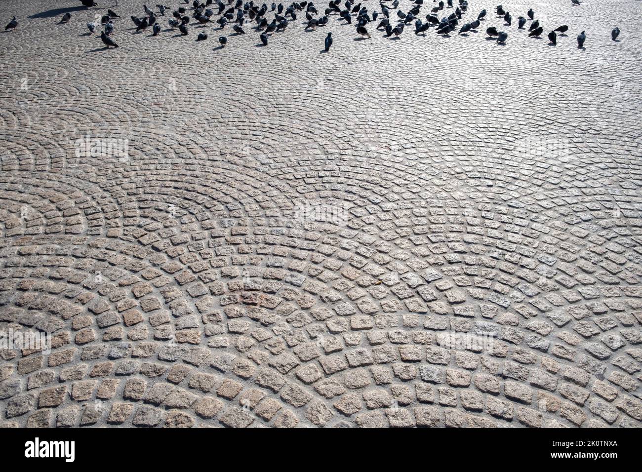 Cobblestone public square paved with grey paving stone. Sunny day at ...