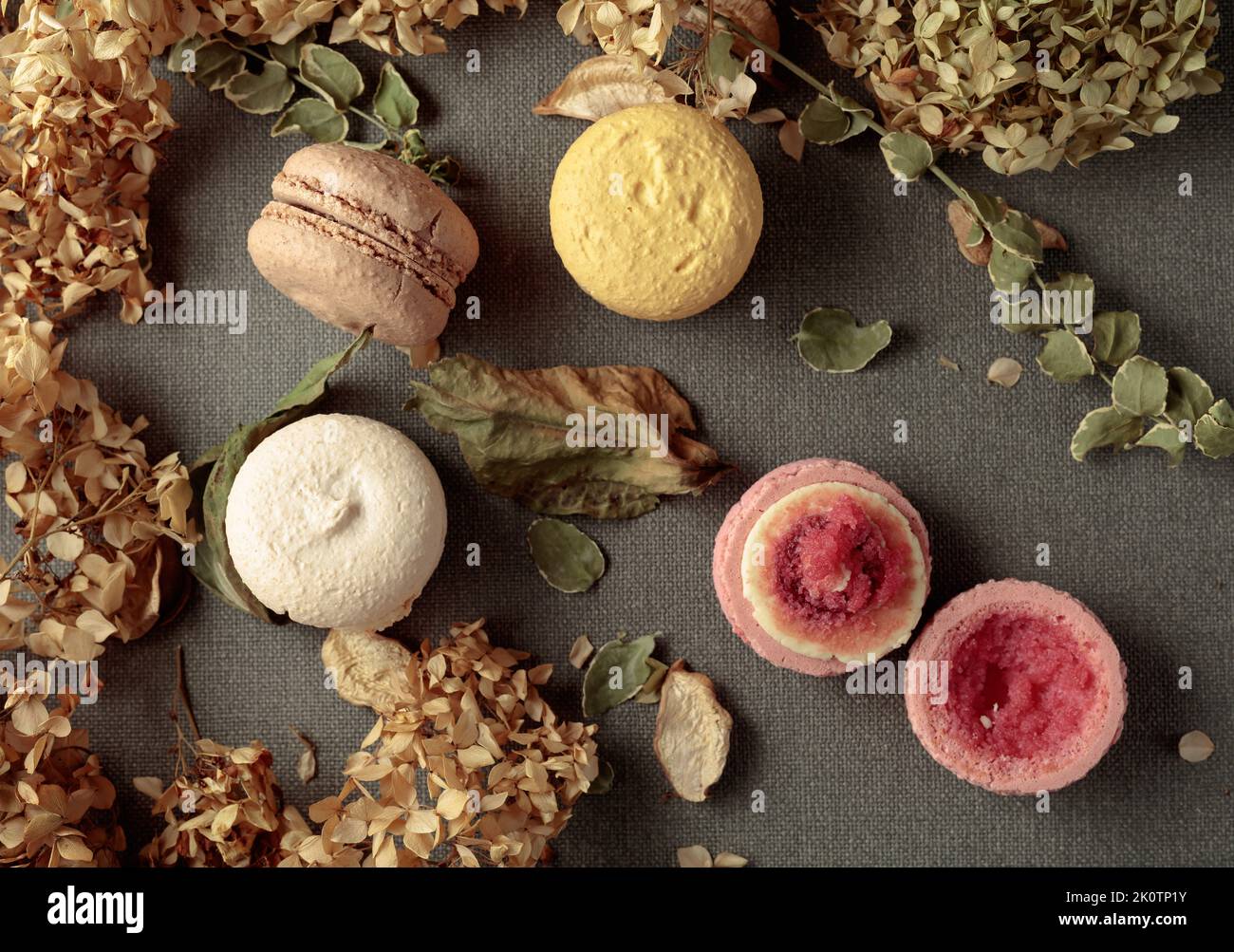 Delicious sweet colorful macaroons with dried flowers. Top view Stock ...
