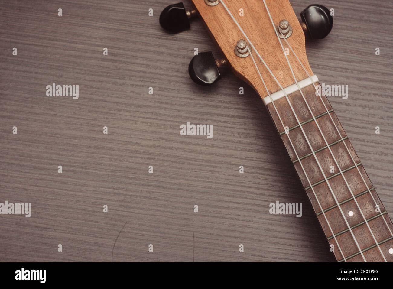 Instruments With Chords at Alfred Gum blog