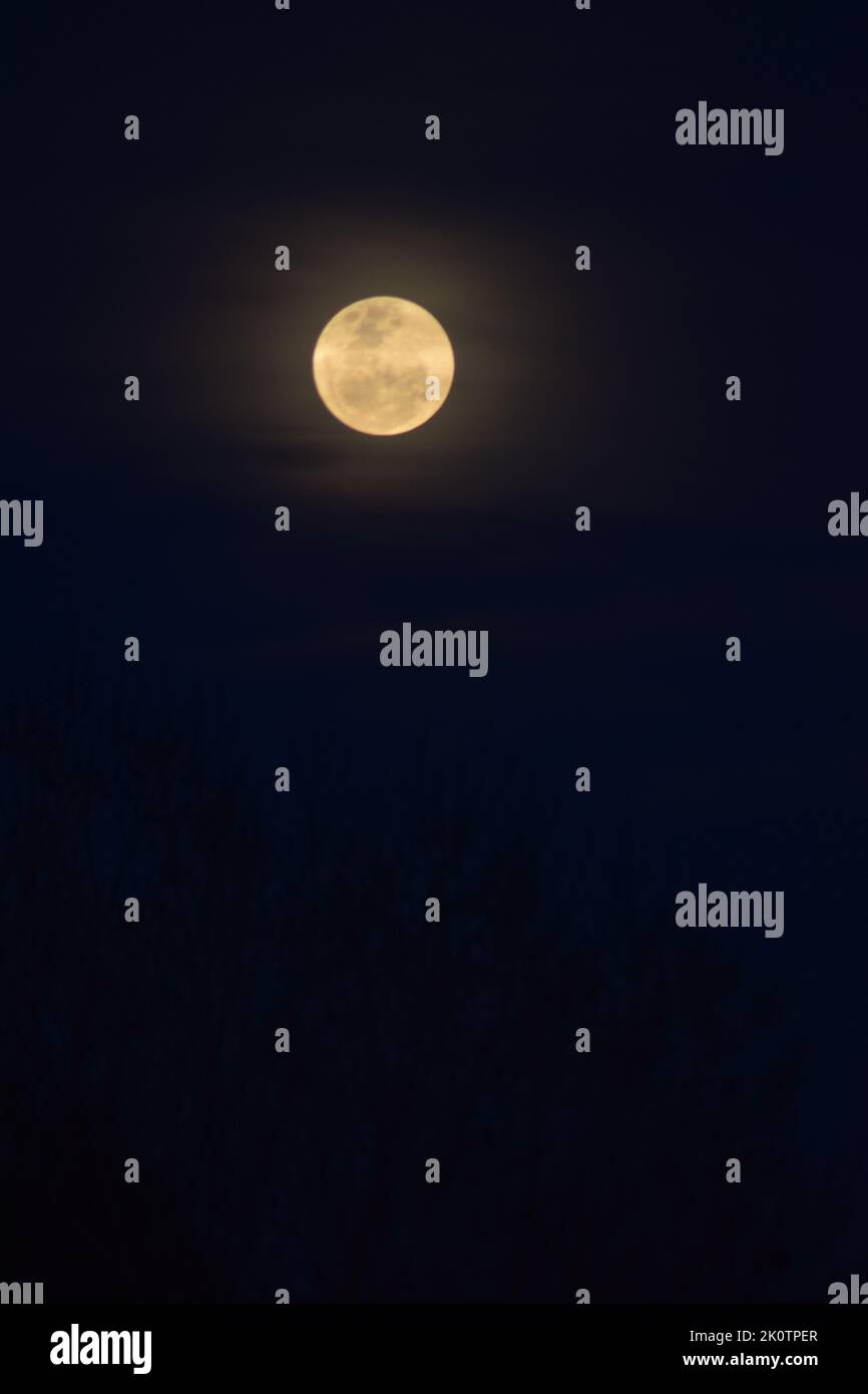 A bright full moon on the sky during nighttime Stock Photo - Alamy