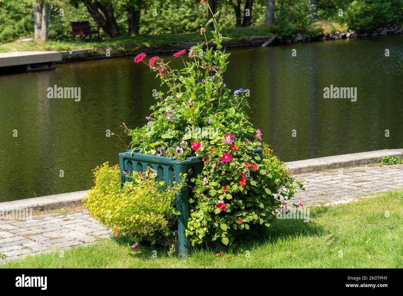 Flowers in pot alongside river at a park in Huntsville, Ontario Stock ...