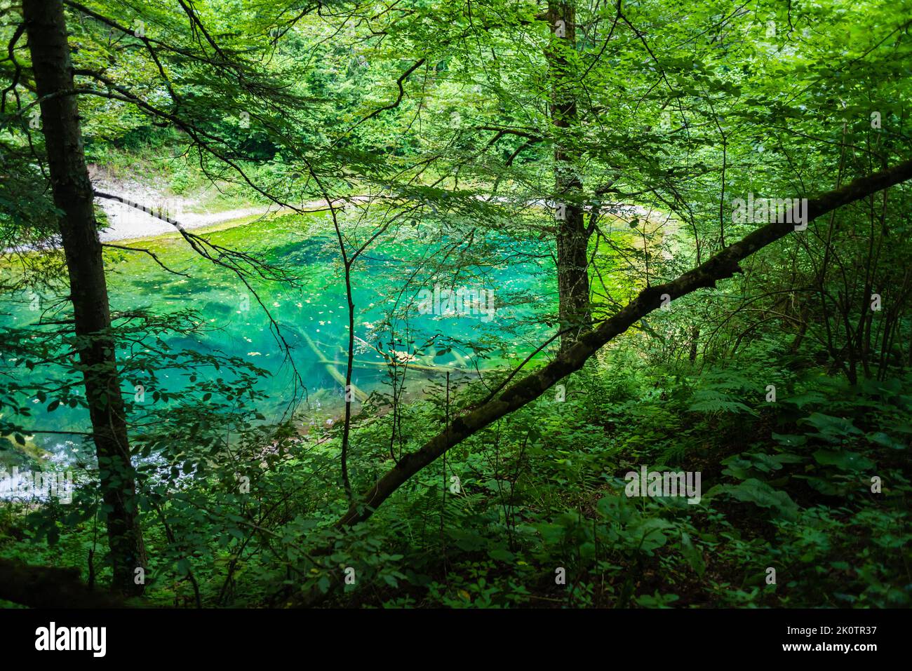 untouched lake formation in the forest , colorful forest landscapes ...