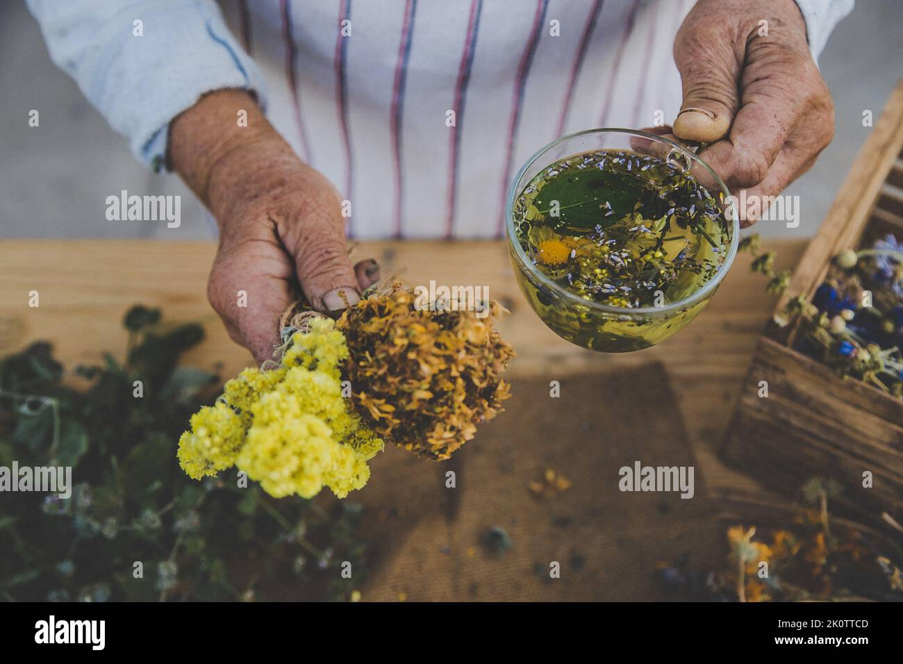 Grandmother makes tea medicinal herbs hi-res stock photography and ...