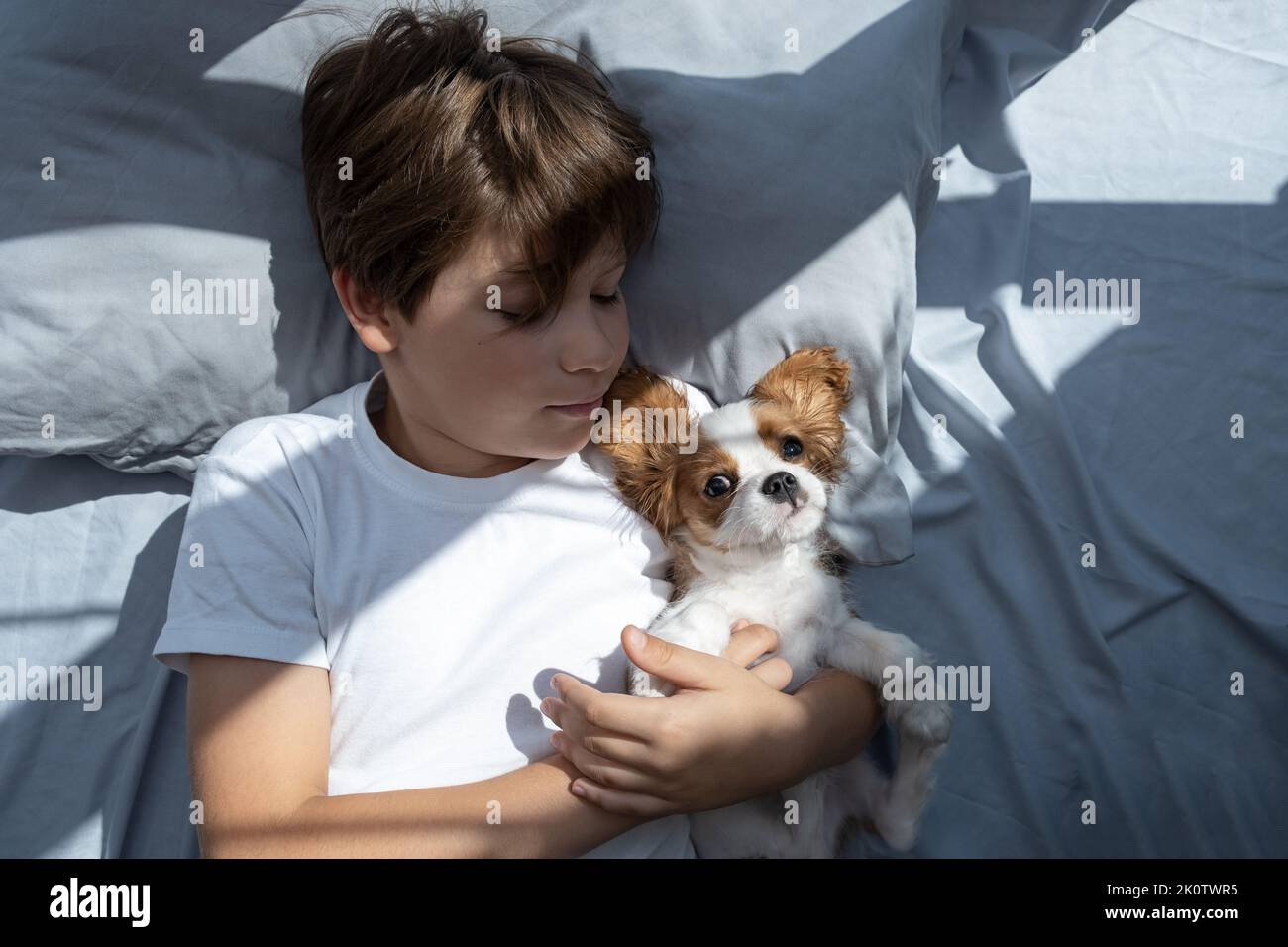 boy with a dog in an embrace lies in bed in morning. Sleep with pets ...