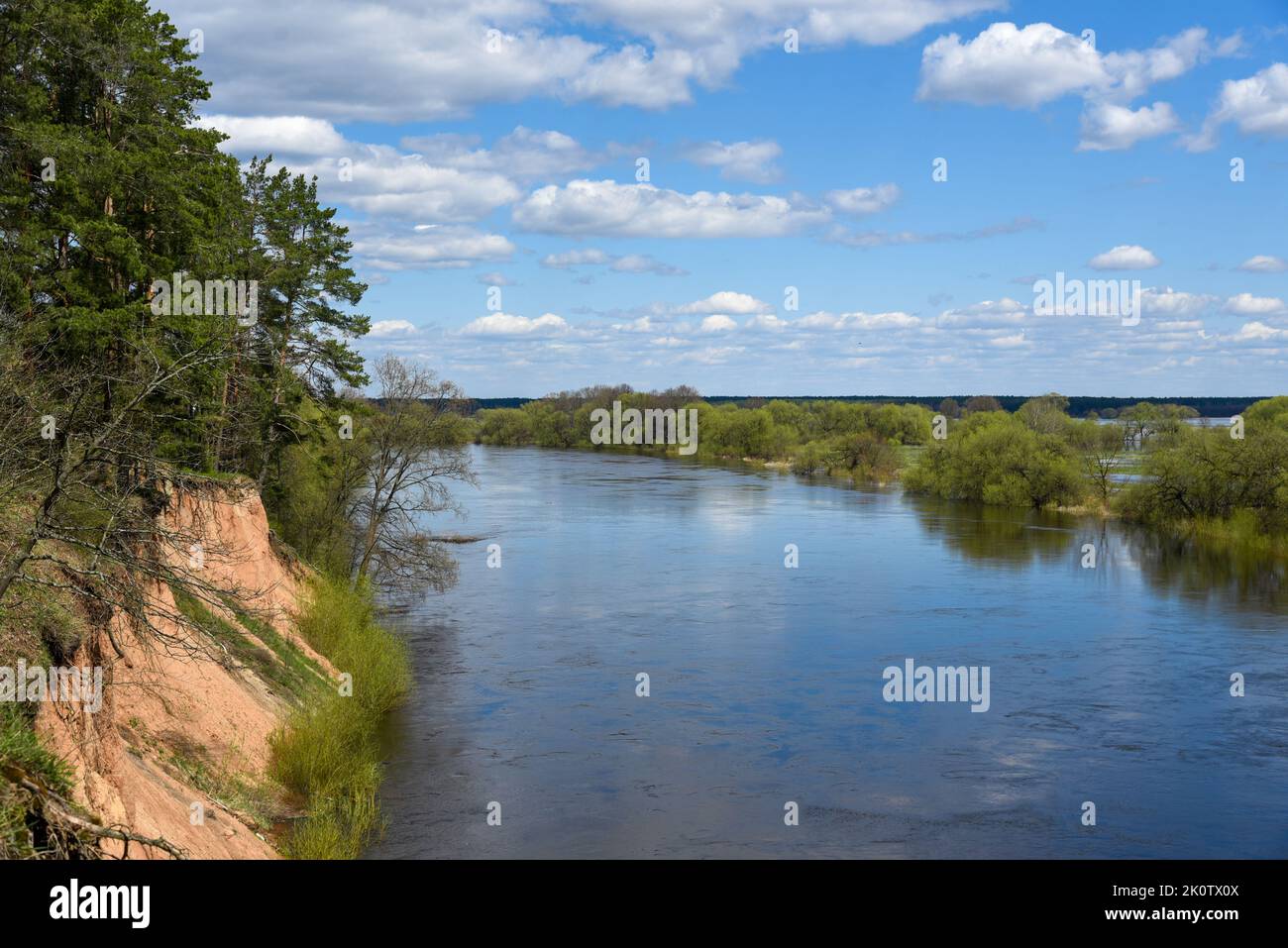 Sandy cane hi-res stock photography and images - Alamy