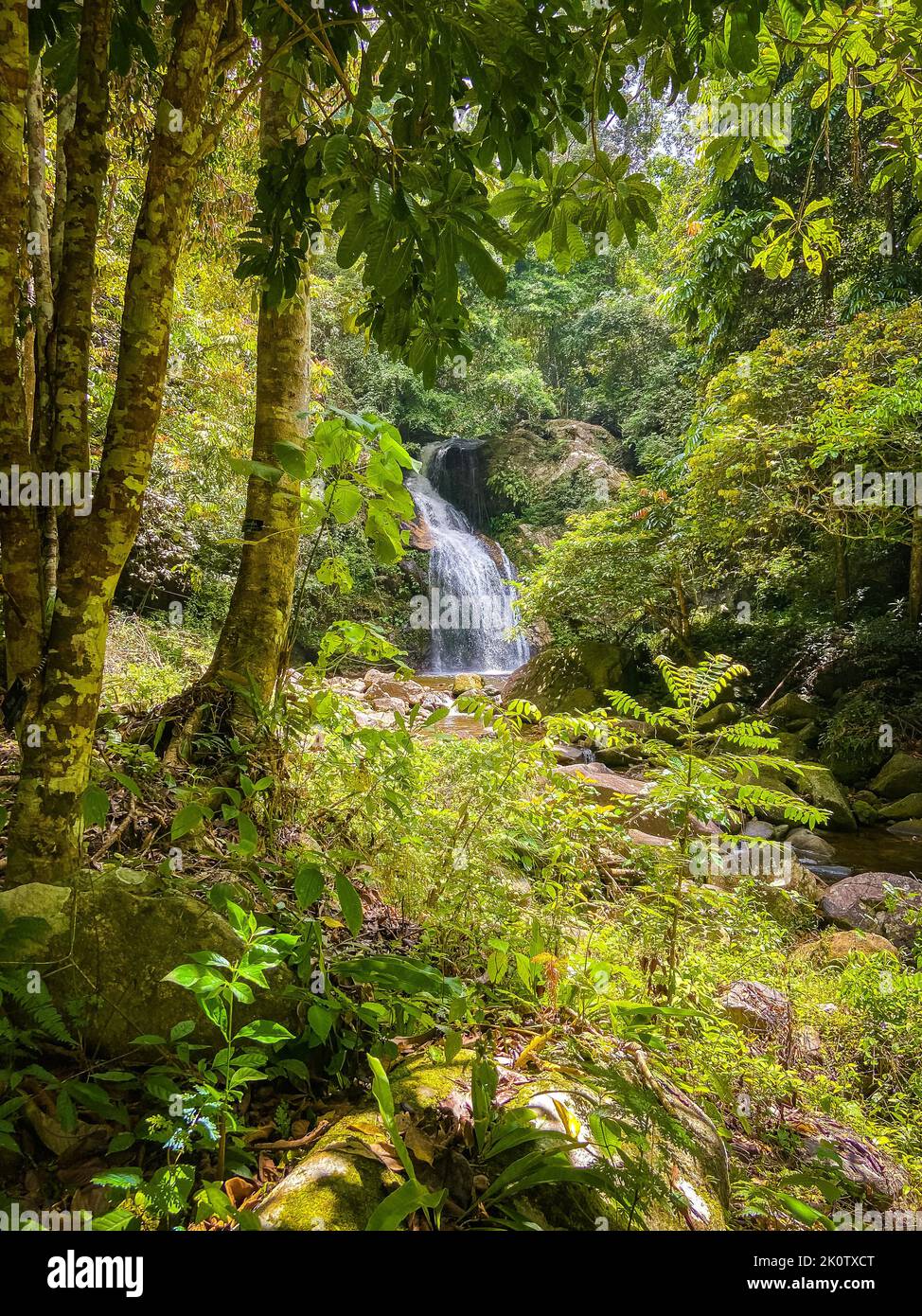 Fa thailand hi-res stock photography and images - Alamy