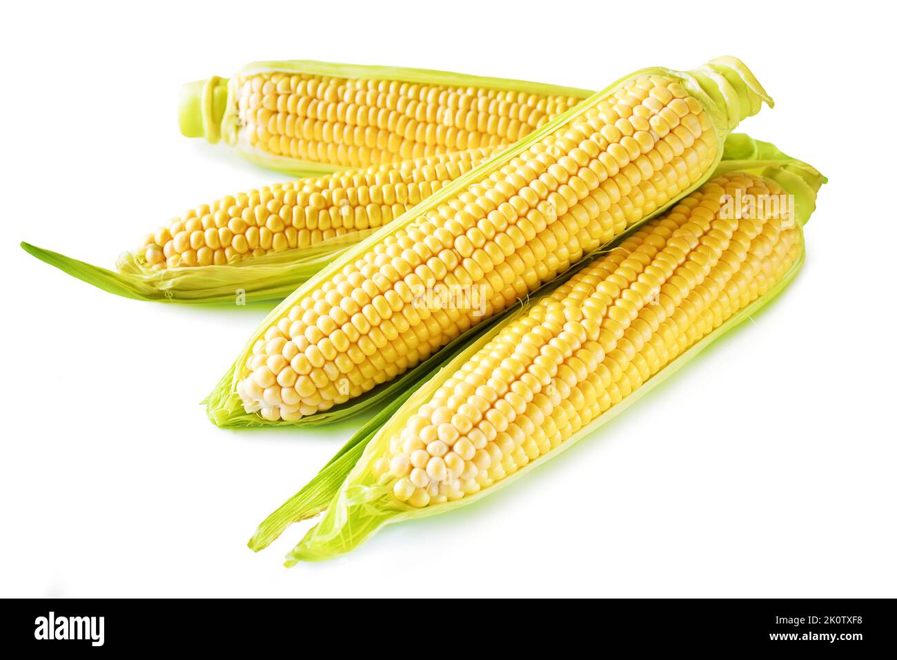 Four sweet corn ear with husk isolated on white background Stock Photo ...