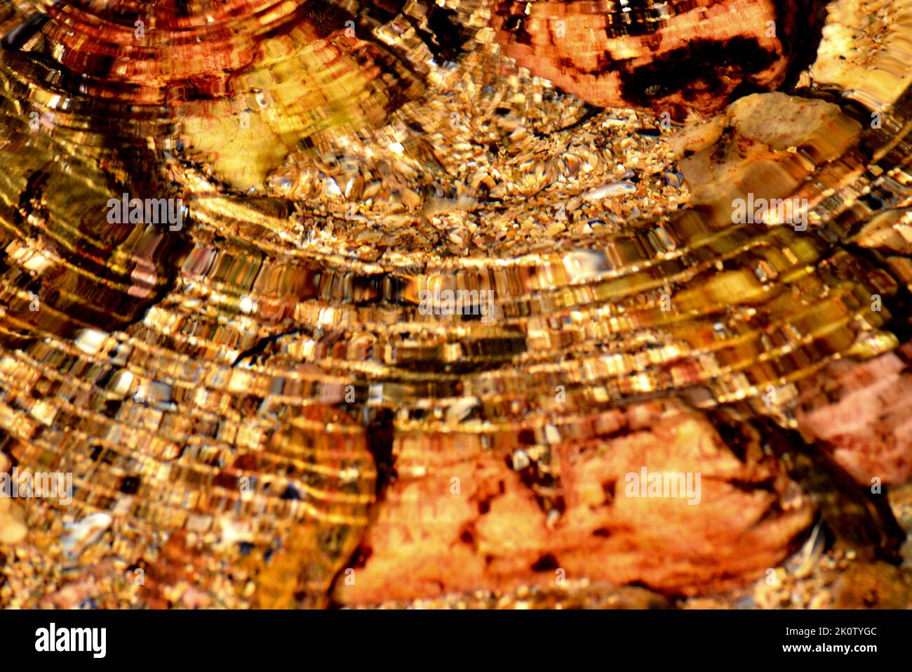 Concentric waves on the water surface with reflected and refracted ...