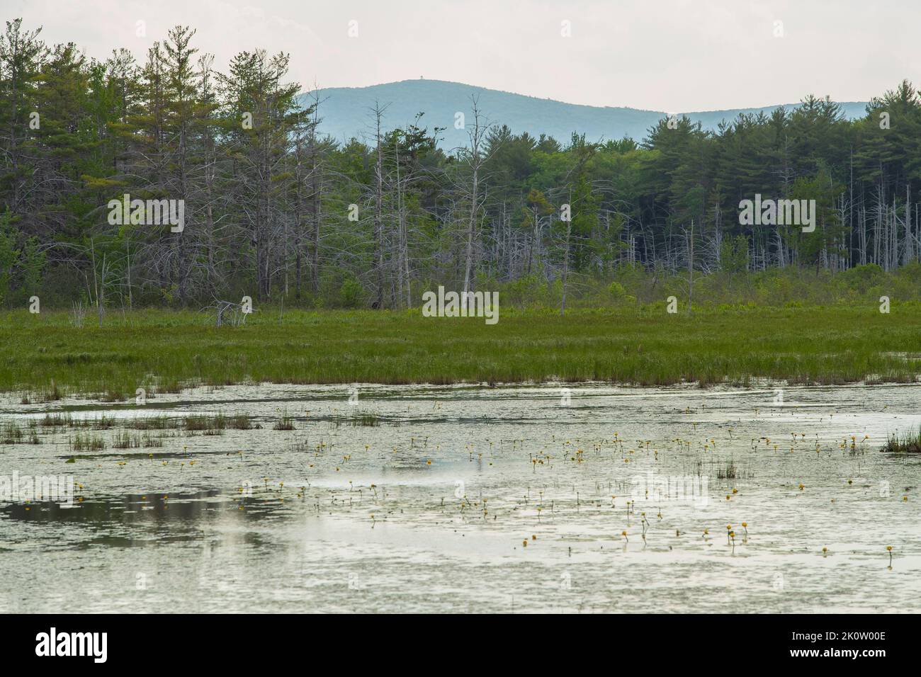 Ossipee range hi-res stock photography and images - Alamy