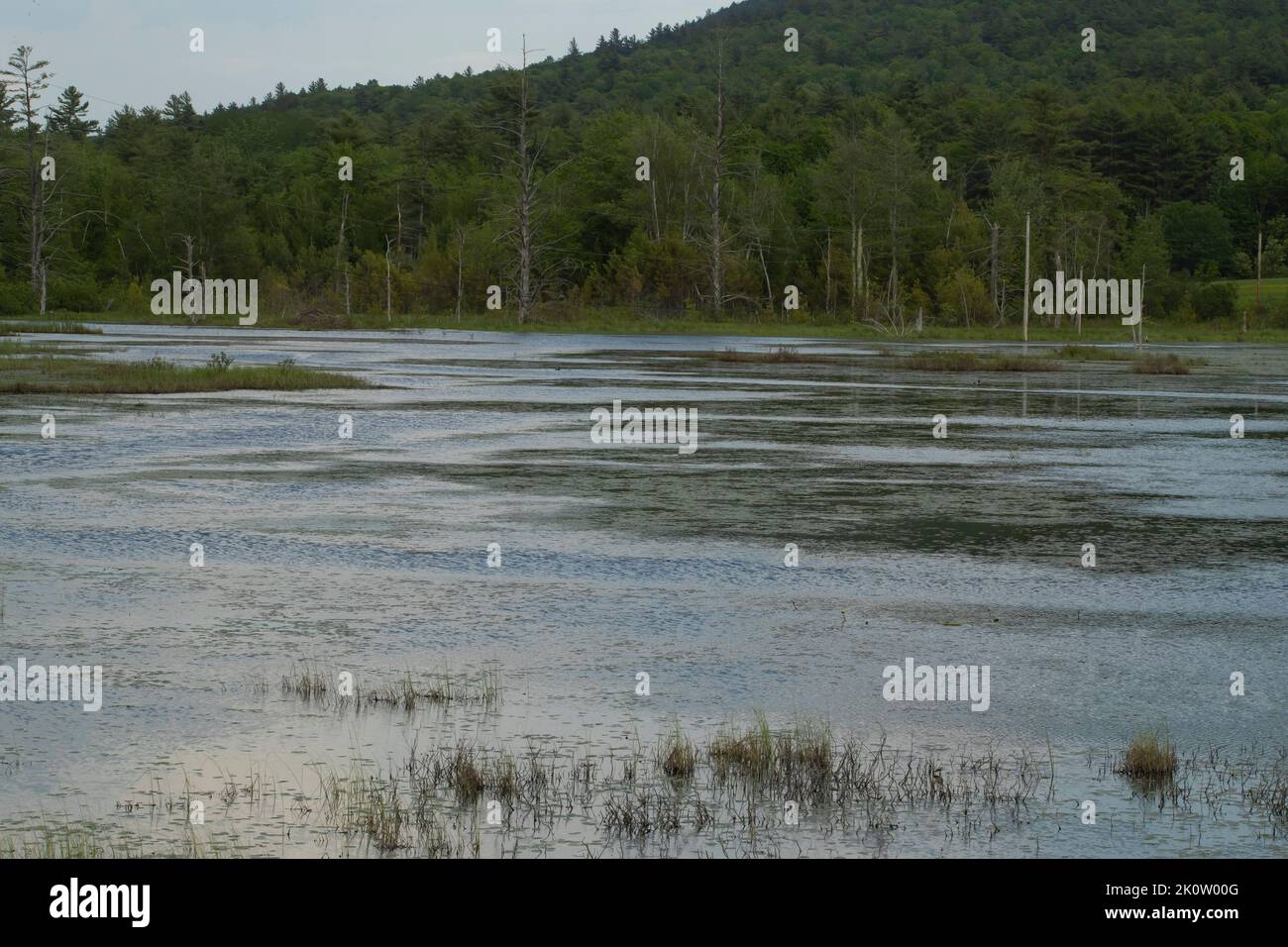 Located in Northern NH, these wetlands and mountains are just east of ...