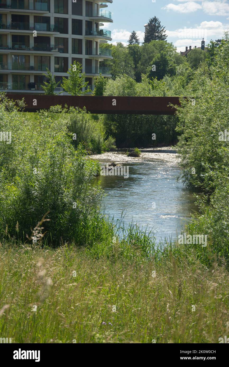 Die renaturierte Sorne in Delémont, gelungenes Projekt hinsichtlich ...