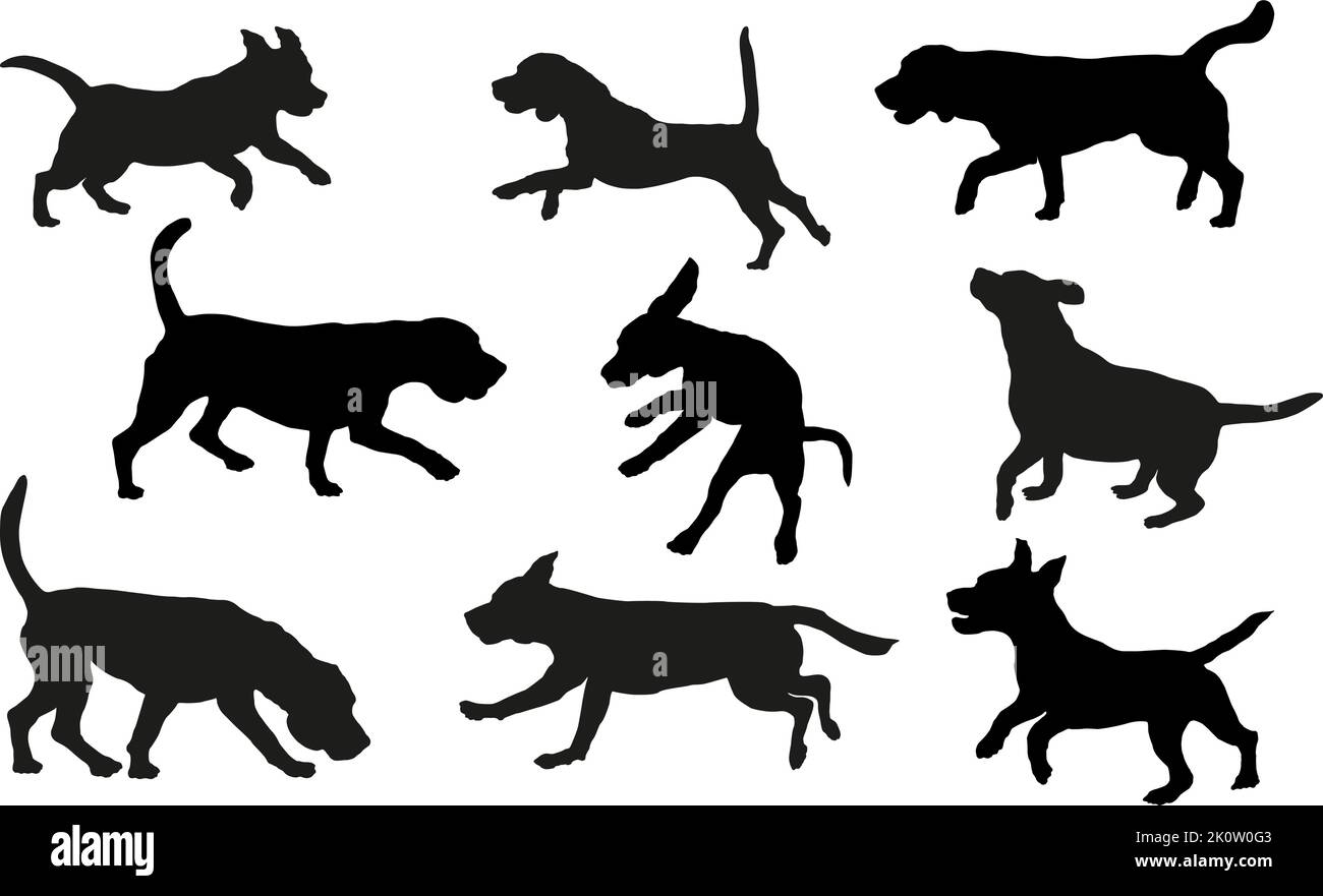 Group of english beagles in various poses. Dog silhouette. Running ...