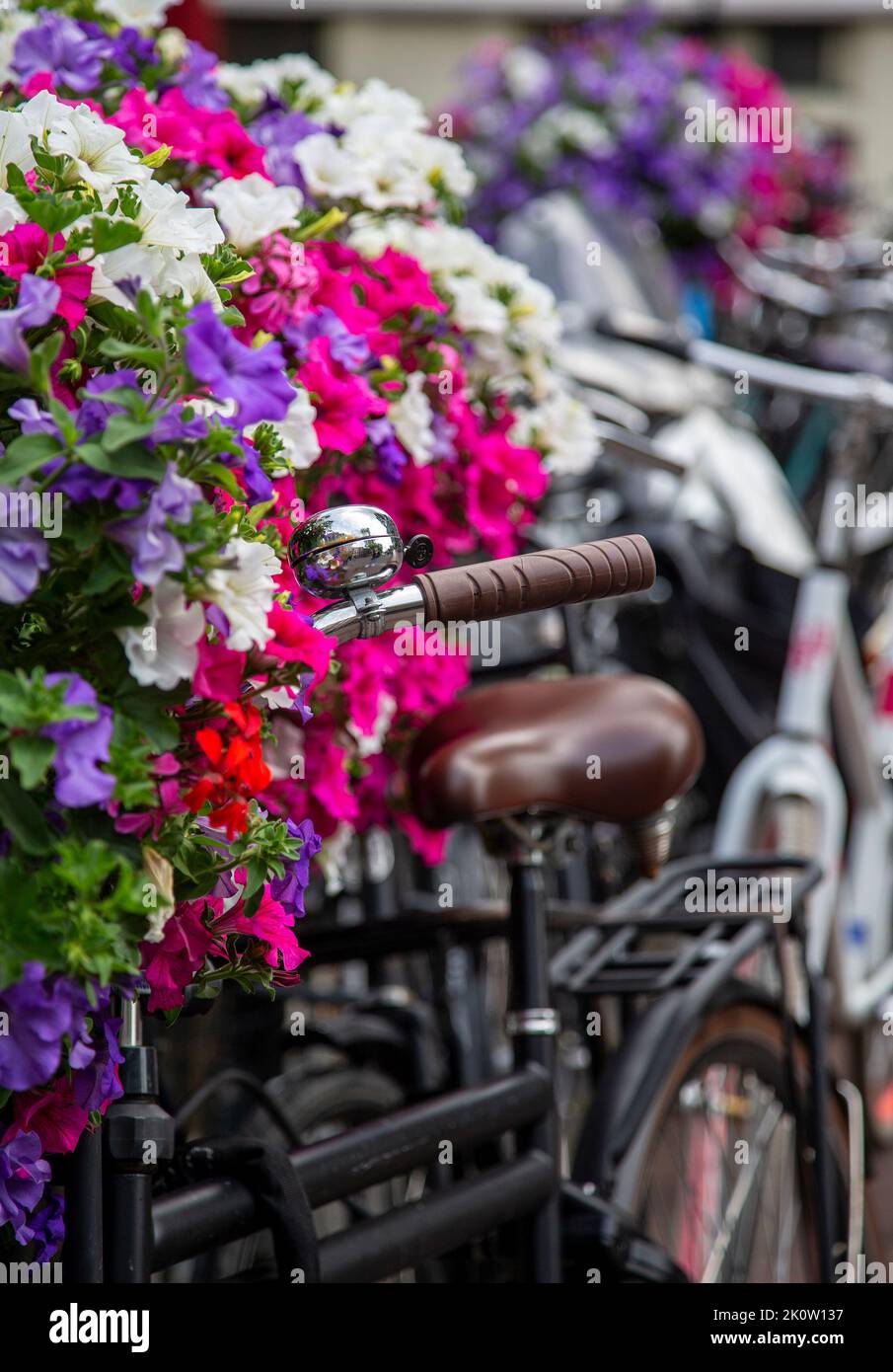 A bicycle bell on a bike in Amsterdam Stock Photo - Alamy