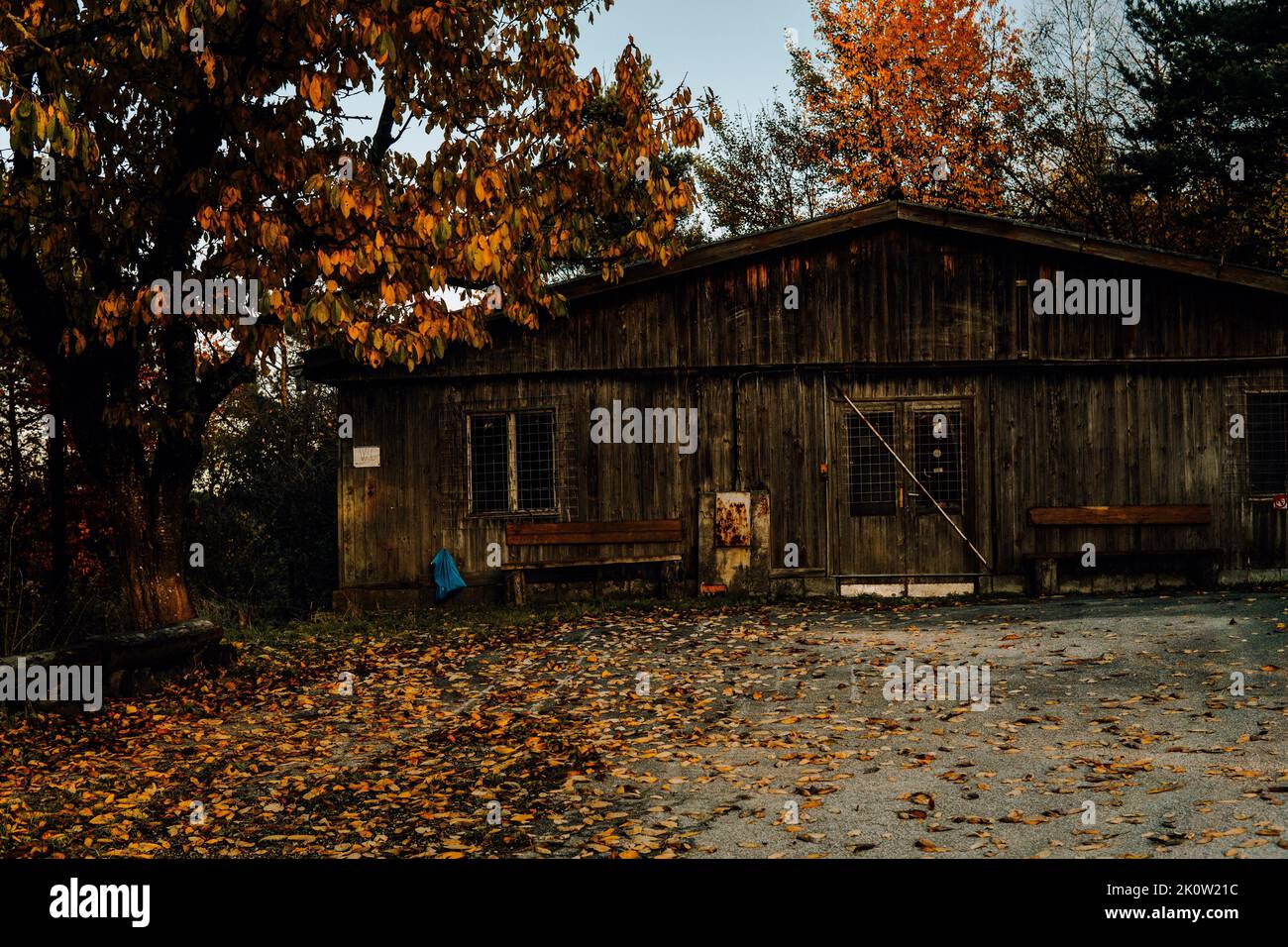 The facade of an old abandoned wooden building surrounded by trees in ...