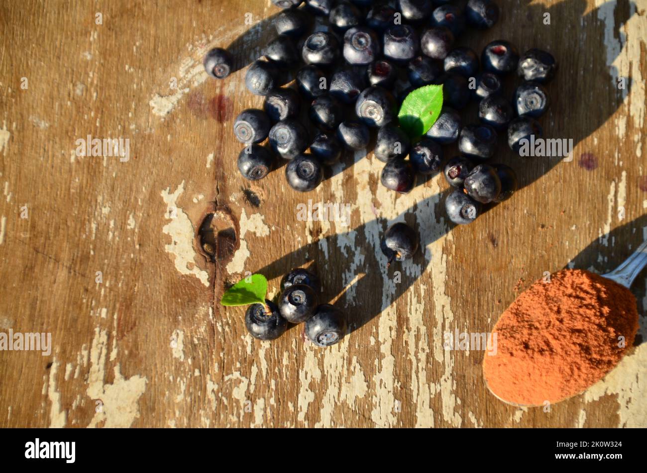 Antioxidant rich Blueberry Powder made freeze dried super food and hand ...