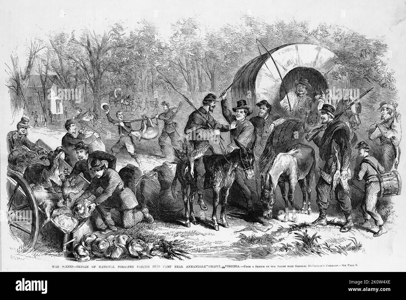 War scenes - Return of National foraging parties into camp near ...