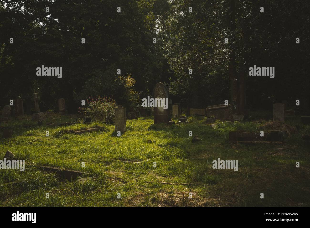 Great war memorial arnos vale hi-res stock photography and images - Alamy