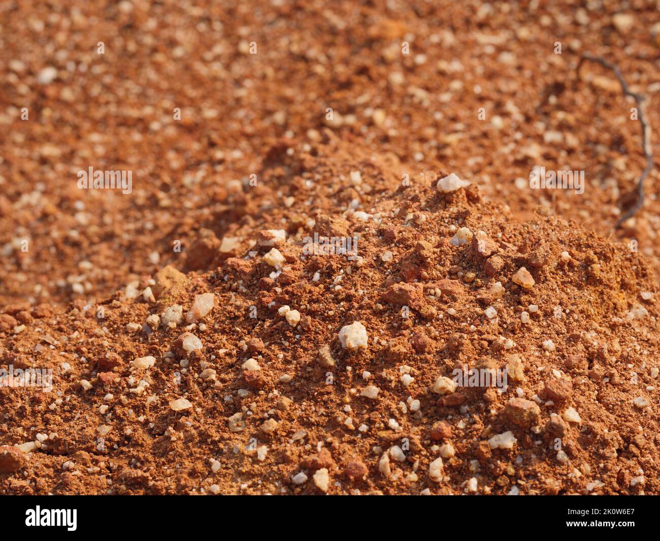 Close-up of Soil Background in Agriculture Land Stock Photo - Alamy