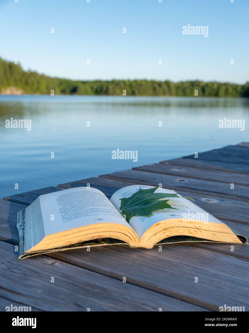 Book and leaf hi-res stock photography and images - Alamy
