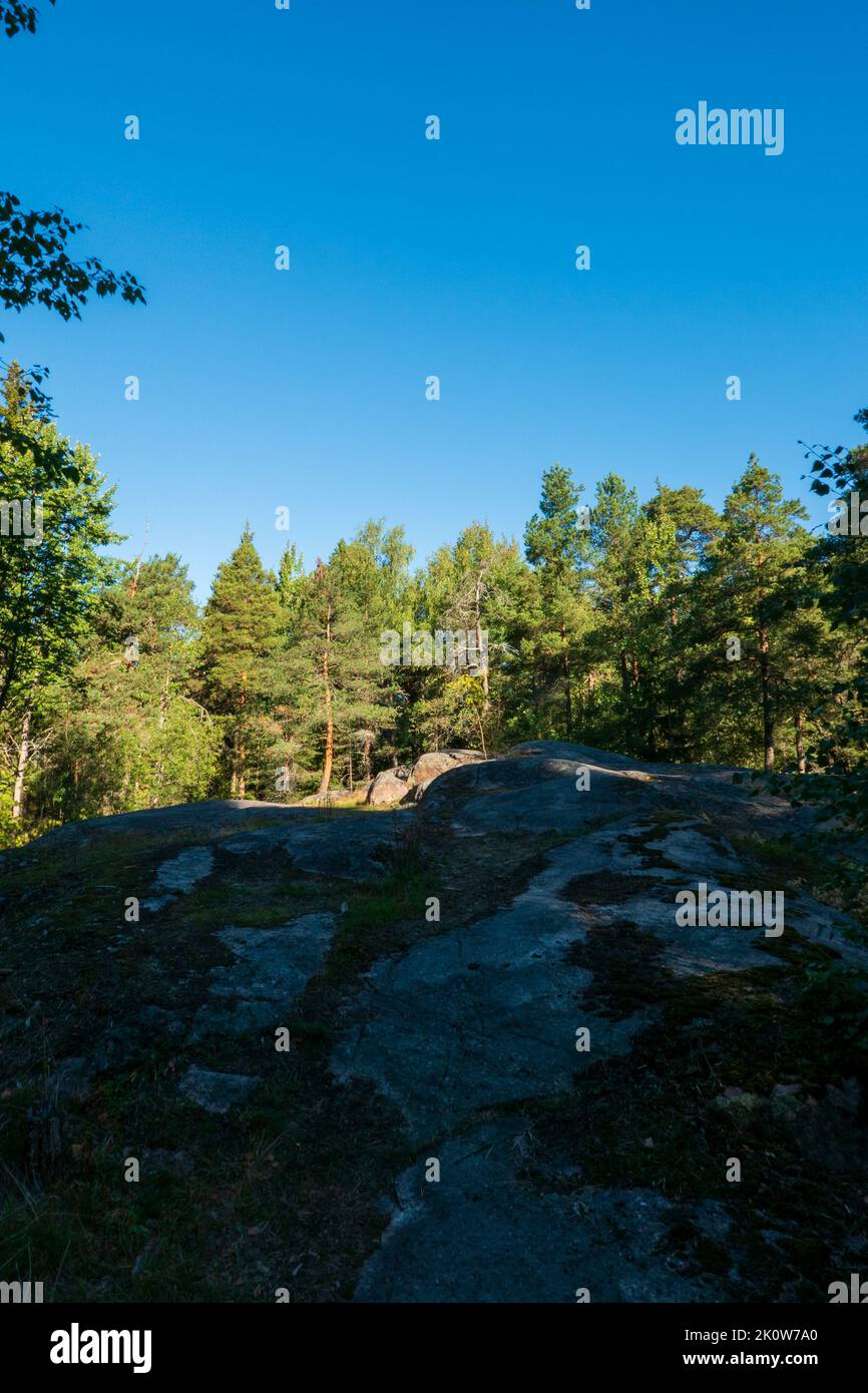 Forest Laakso Helsinki Stock Photo - Alamy