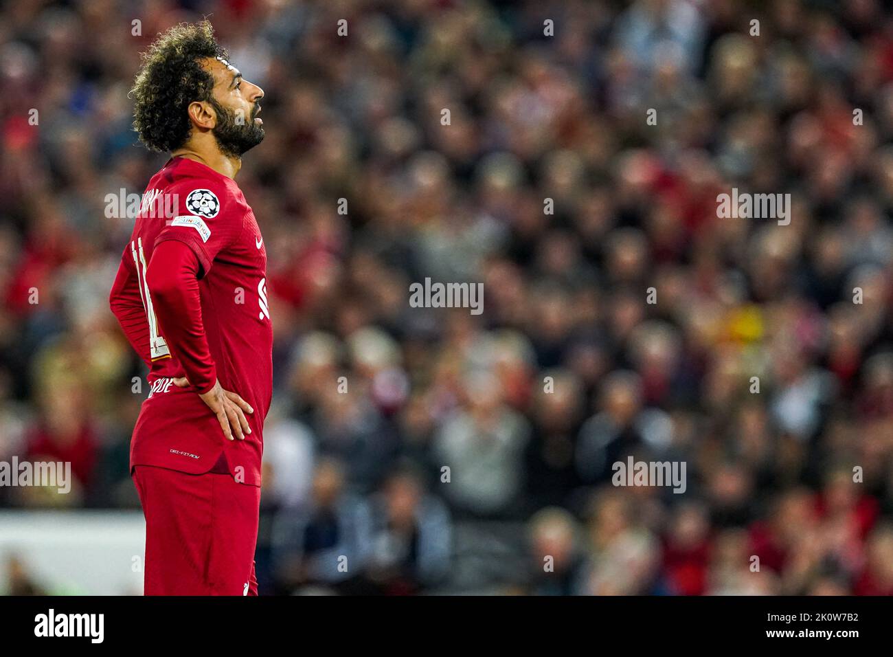 Salah champions league hi-res stock photography and images - Alamy