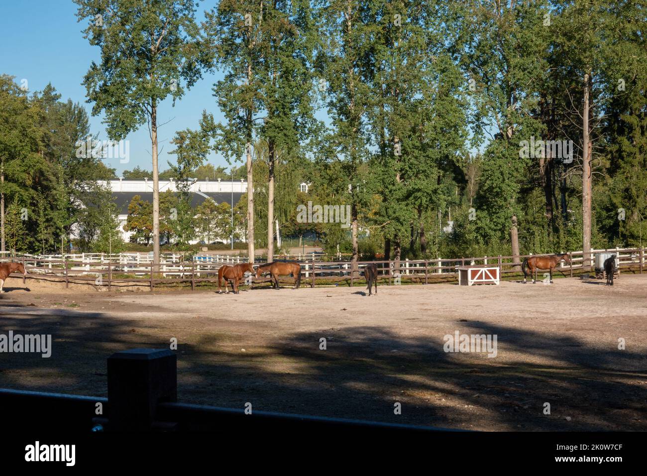 Laakso Horse-Riding stables Stock Photo - Alamy