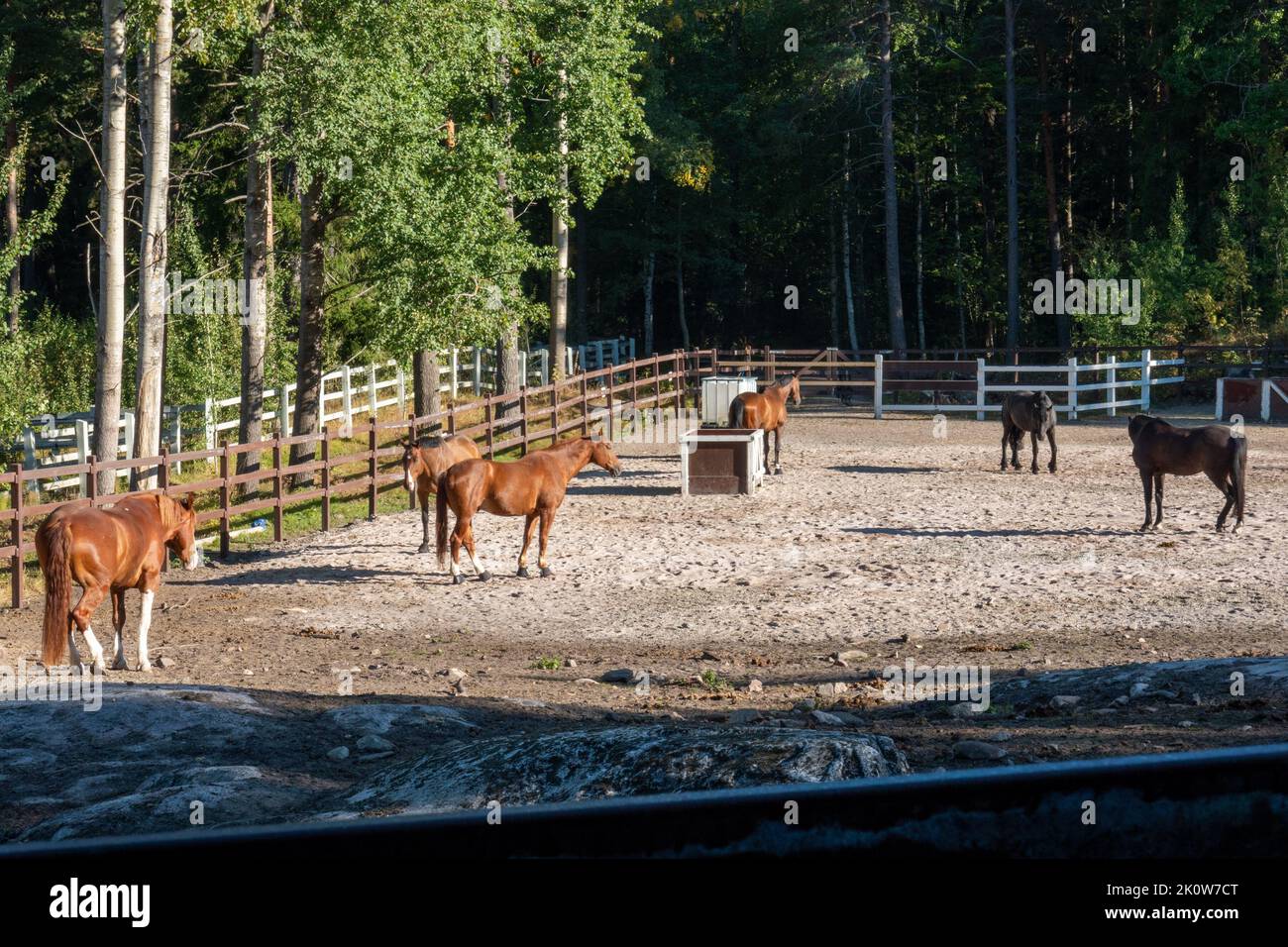 Laakso horse riding stables hi-res stock photography and images - Alamy