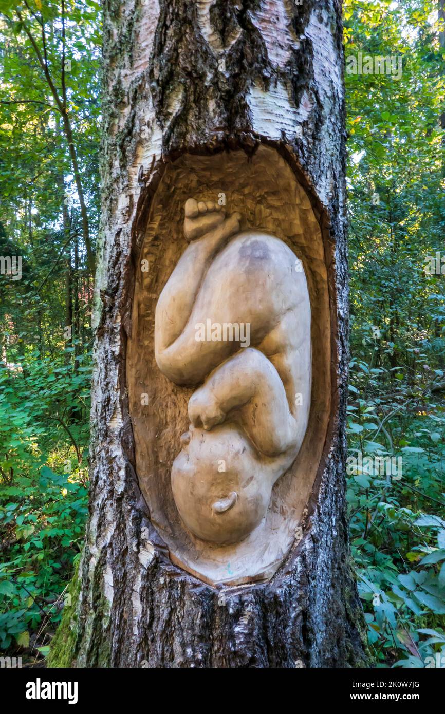 Keskuspuistovoima ja herkkyys hi-res stock photography and images - Alamy