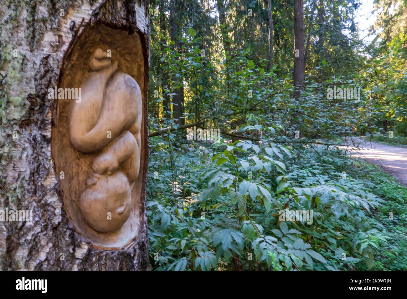 Carved baby fetus, tree trunk, KeskuspuistoVoima ja herkkyys by Sanna ...