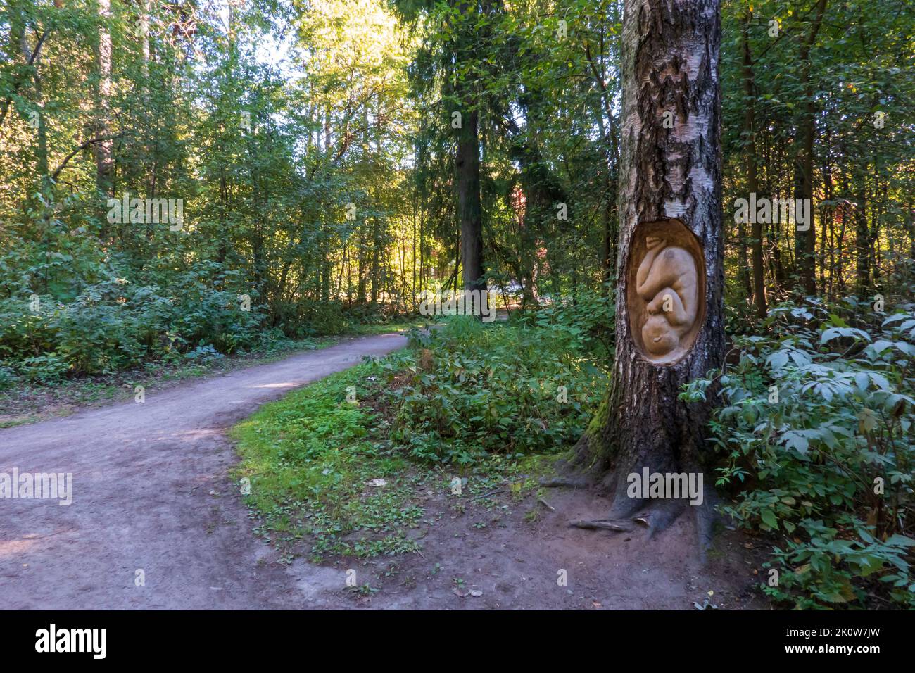 Keskuspuistovoima ja herkkyys hi-res stock photography and images - Alamy