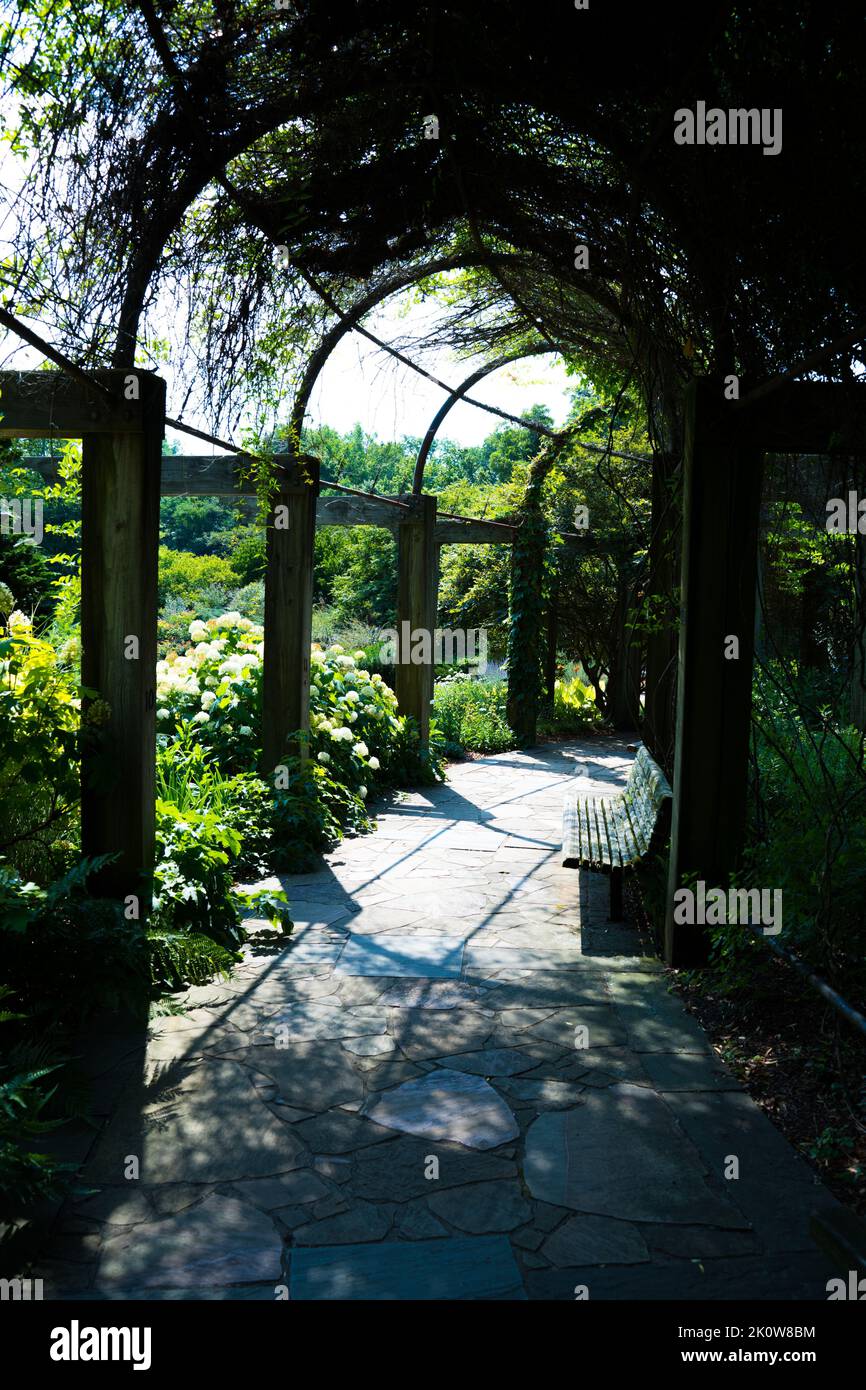 A long entrance arch walkway in a park, vertical shot Stock Photo - Alamy