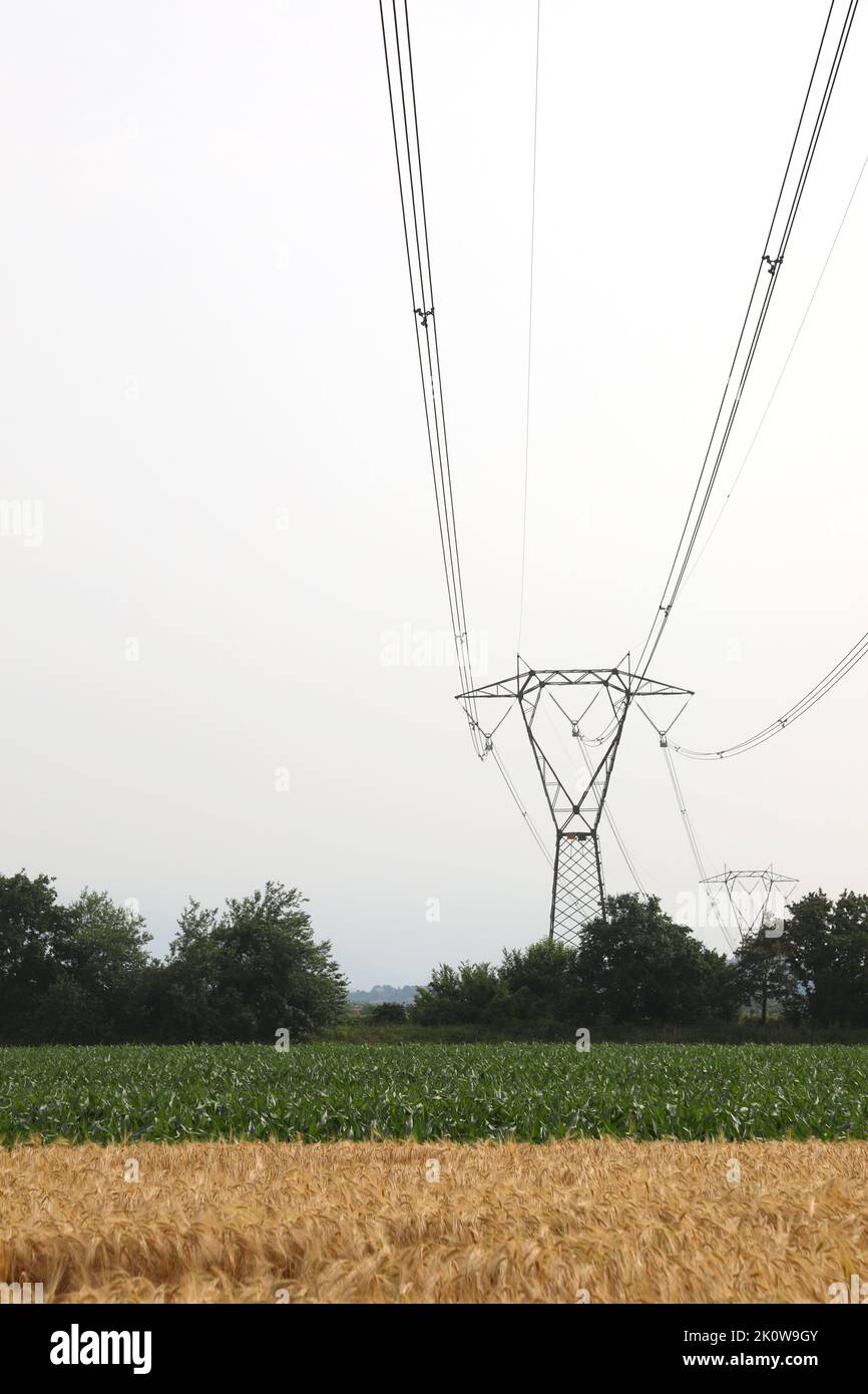 pylon of high voltage electricity cables and wheat field with ripe ...
