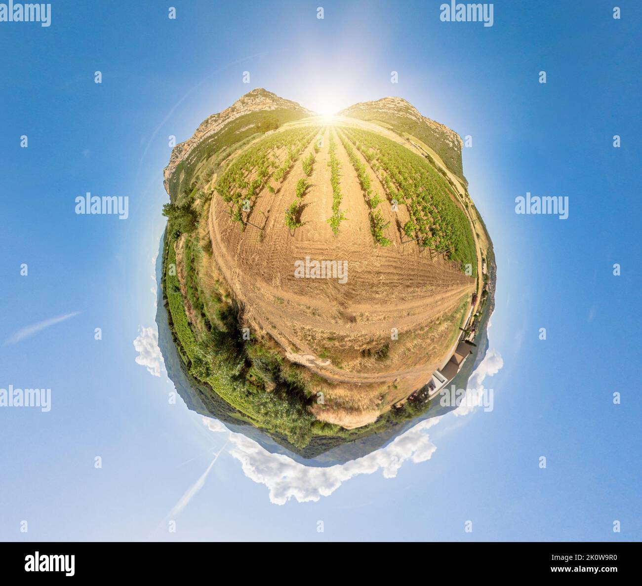 Tiny planet aerial view the rows of grapevine for wine of Corsica in ...